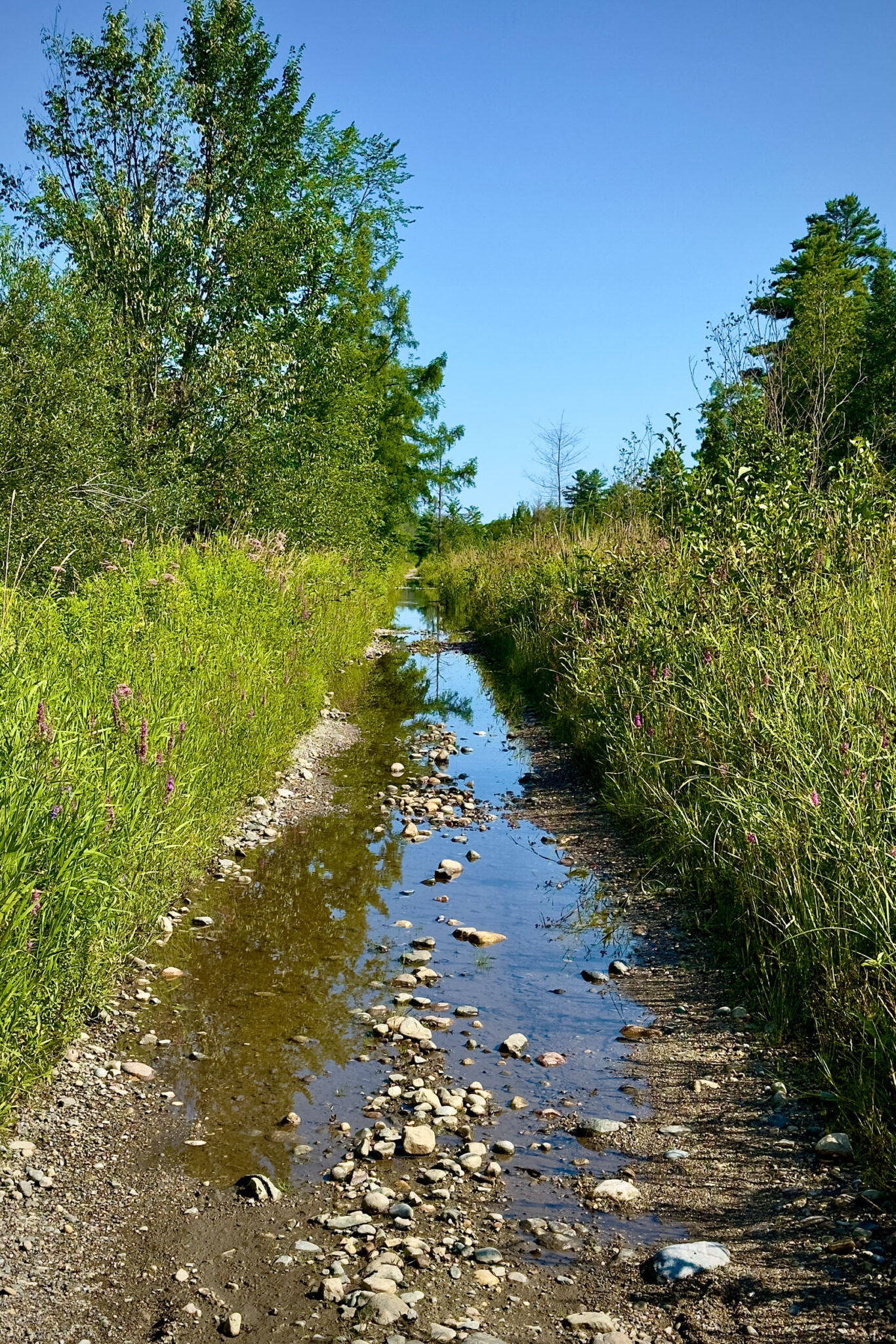 2023 Log Driver's Waltz and St. Lawrence Bikepacking Triple Crown Recap ...