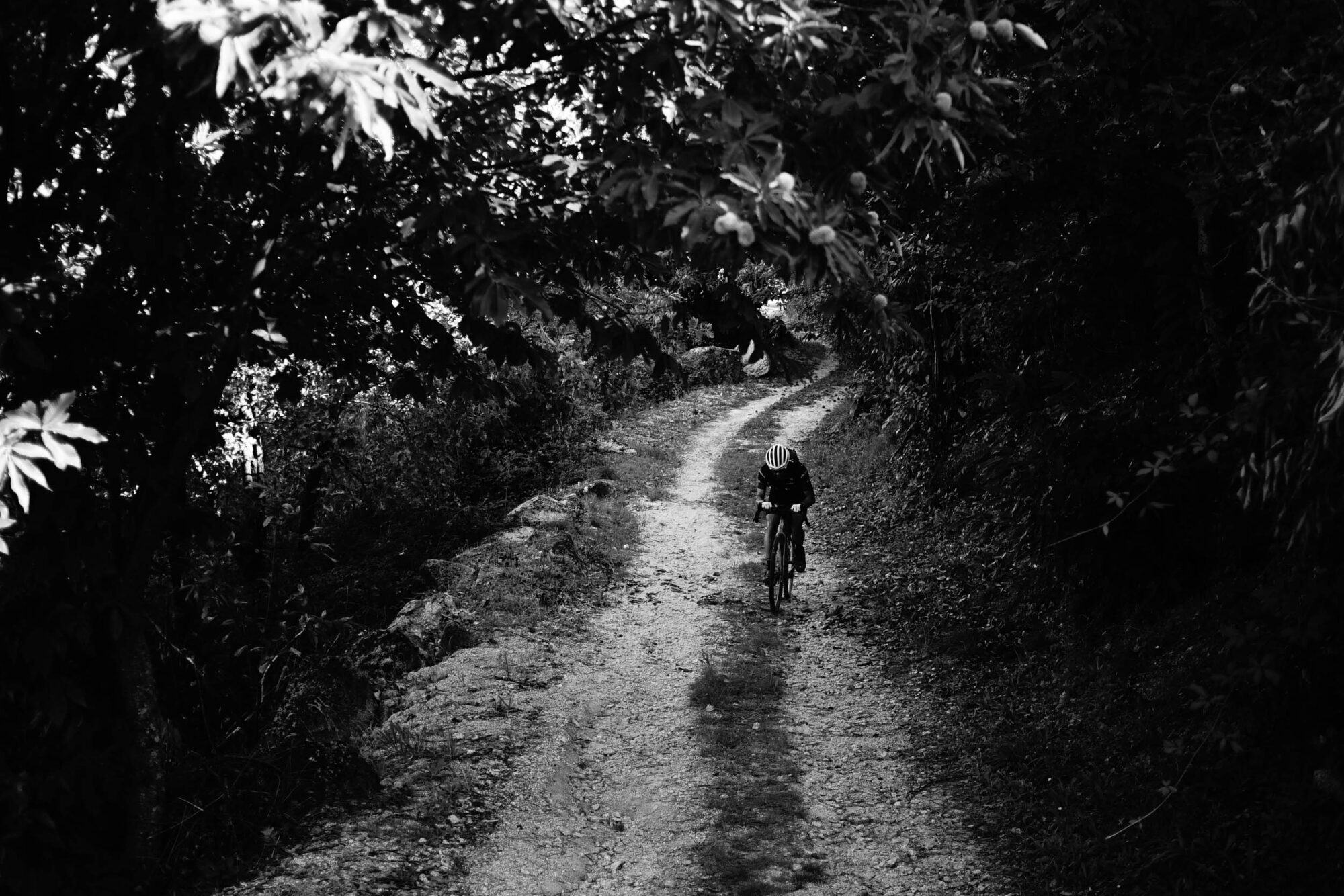 Seven Shots from The Goats - BIKEPACKING.com