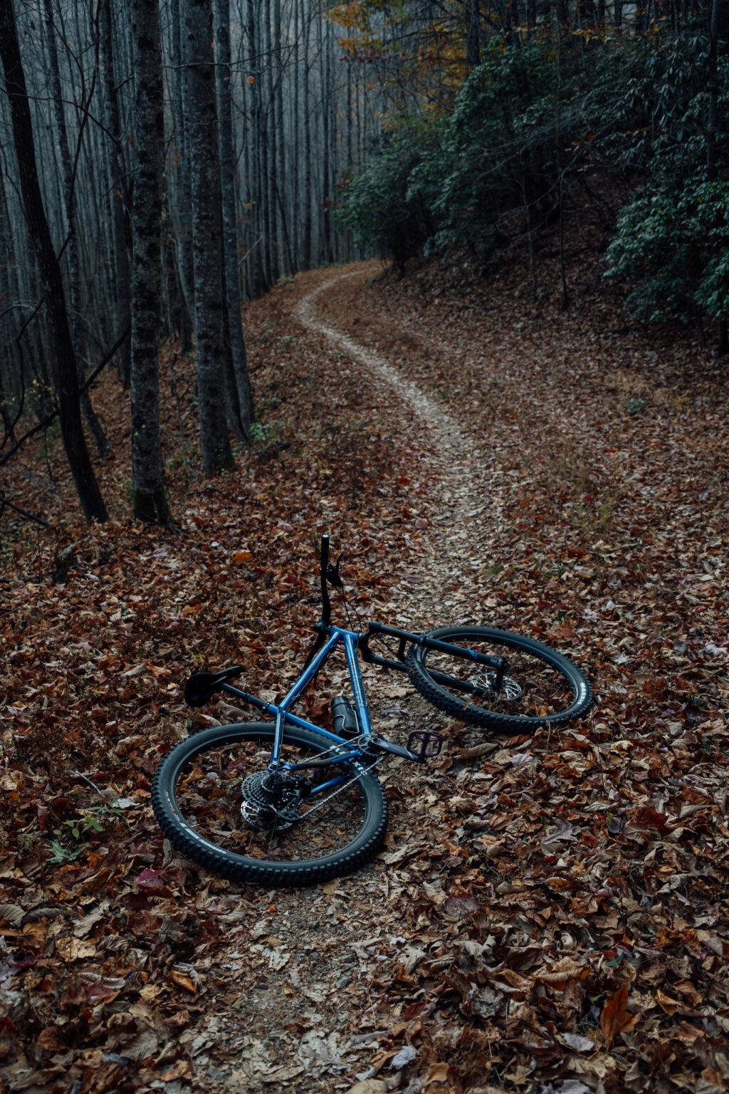 2024 Transition TransAM Review - BIKEPACKING.com