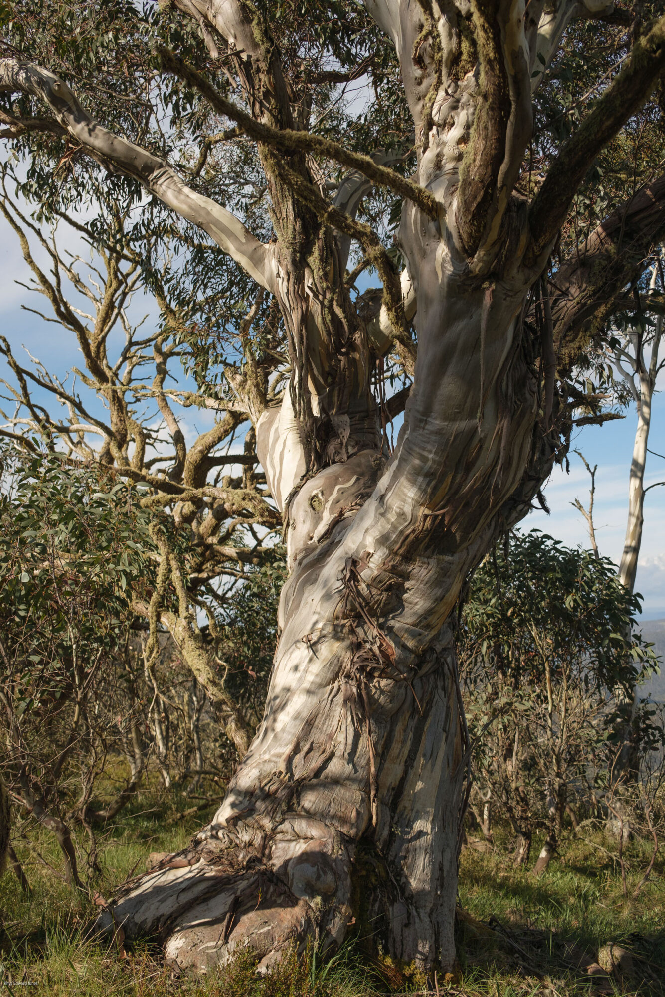 Never Alone: Memories of the 2023 Hunt 1000 - BIKEPACKING.com