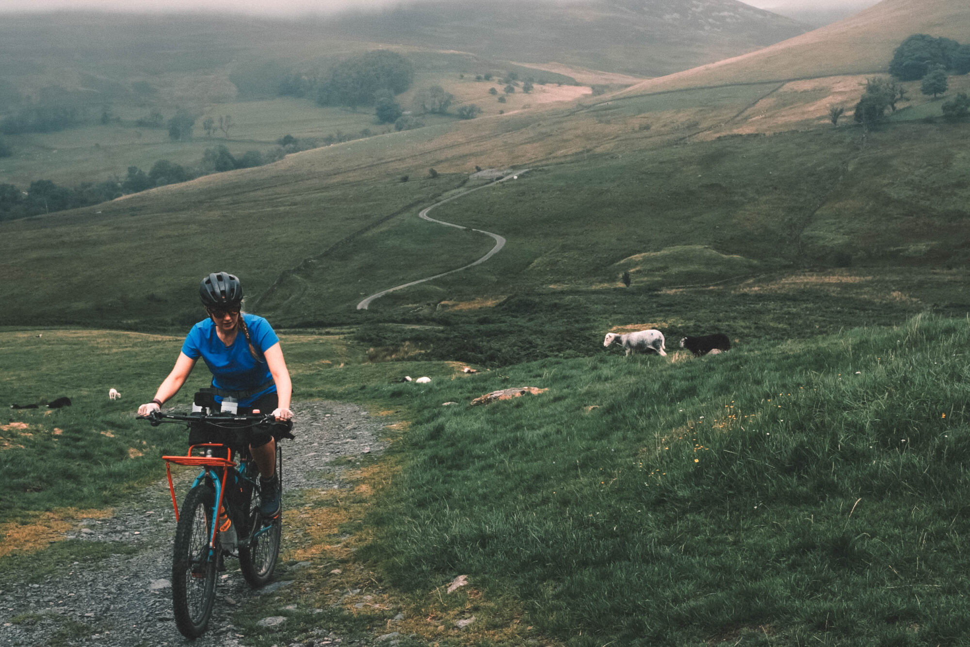 Can You Live in a Remote Cottage with Just a Bicycle? (Video ...