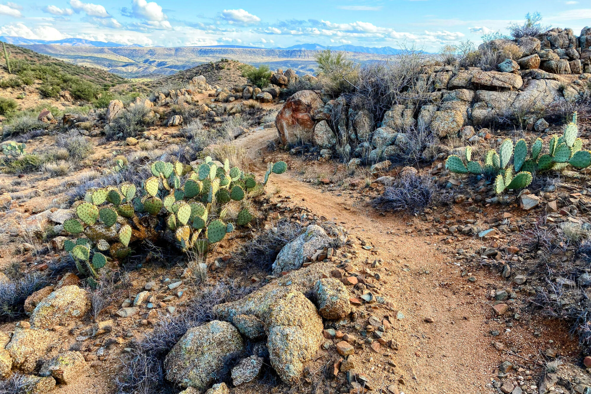 Playing The Fool: Arizona's Fool's Loop Bikepacking Route (Video) - BIKEPACKING.com