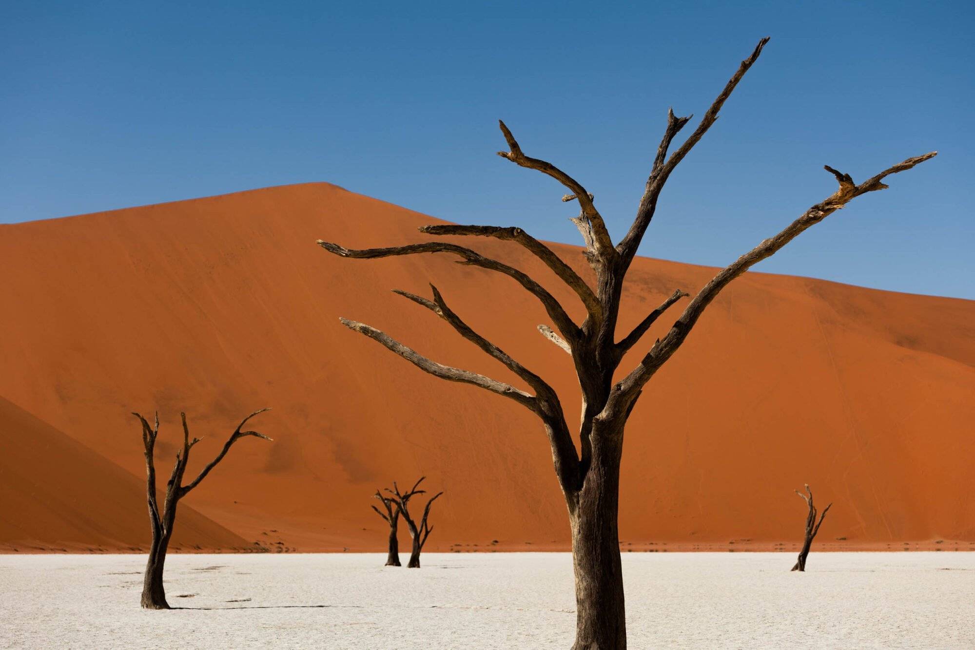SAND: Segment 4 - Namib - BIKEPACKING.com