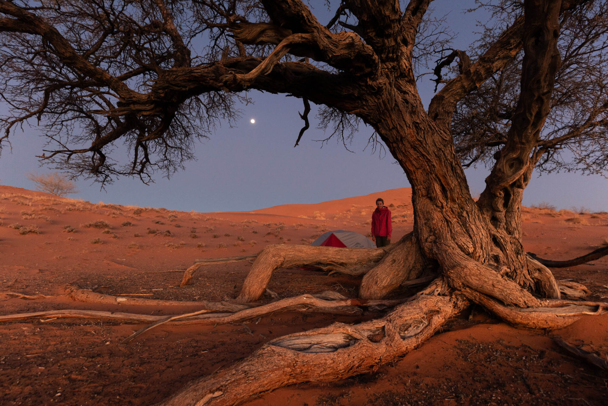 SAND: Segment 4 - Namib - BIKEPACKING.com