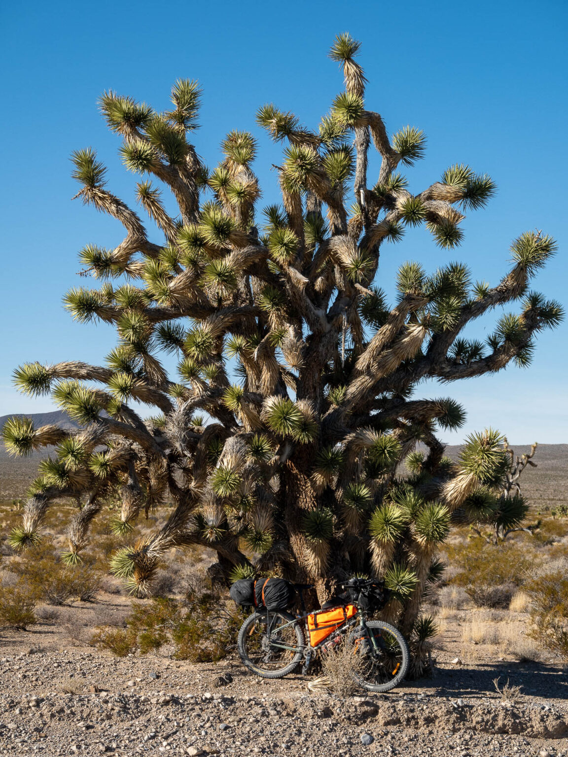 Bikepacking Southern California (Video) - BIKEPACKING.com