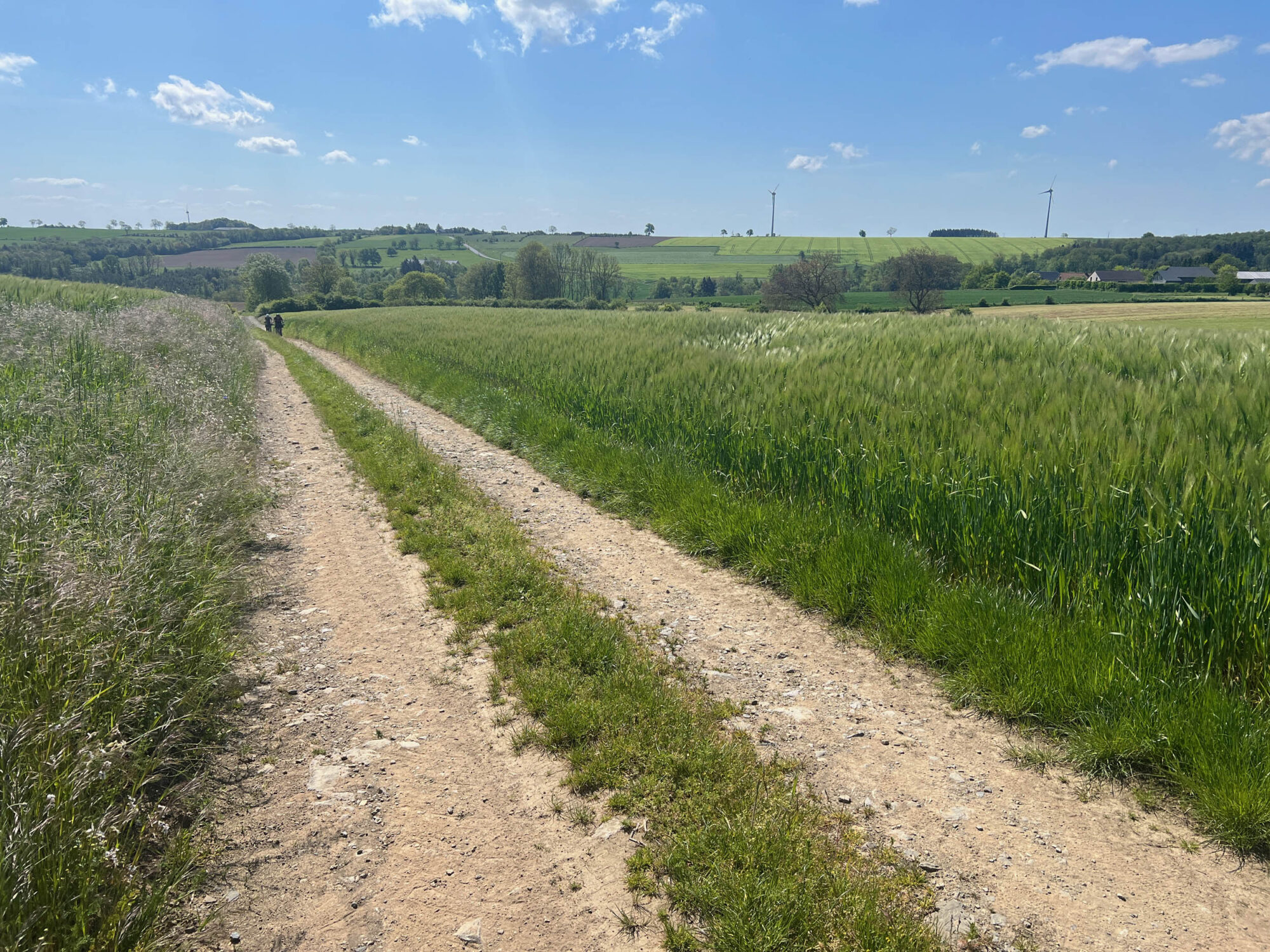 La Condruzienne Bikepacking Route, Belgium - BIKEPACKING.com