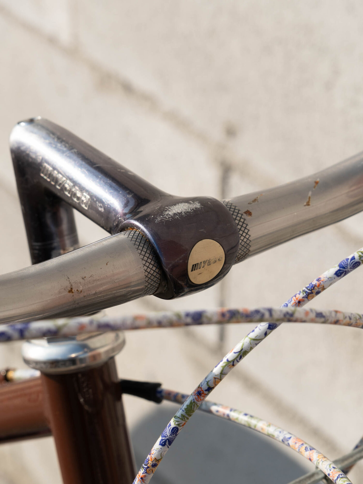 Reader's Rig: Julian's Bassi Rachel - BIKEPACKING.com