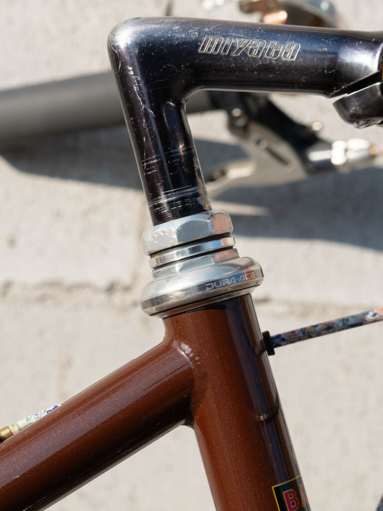 Reader's Rig: Julian's Bassi Rachel - BIKEPACKING.com