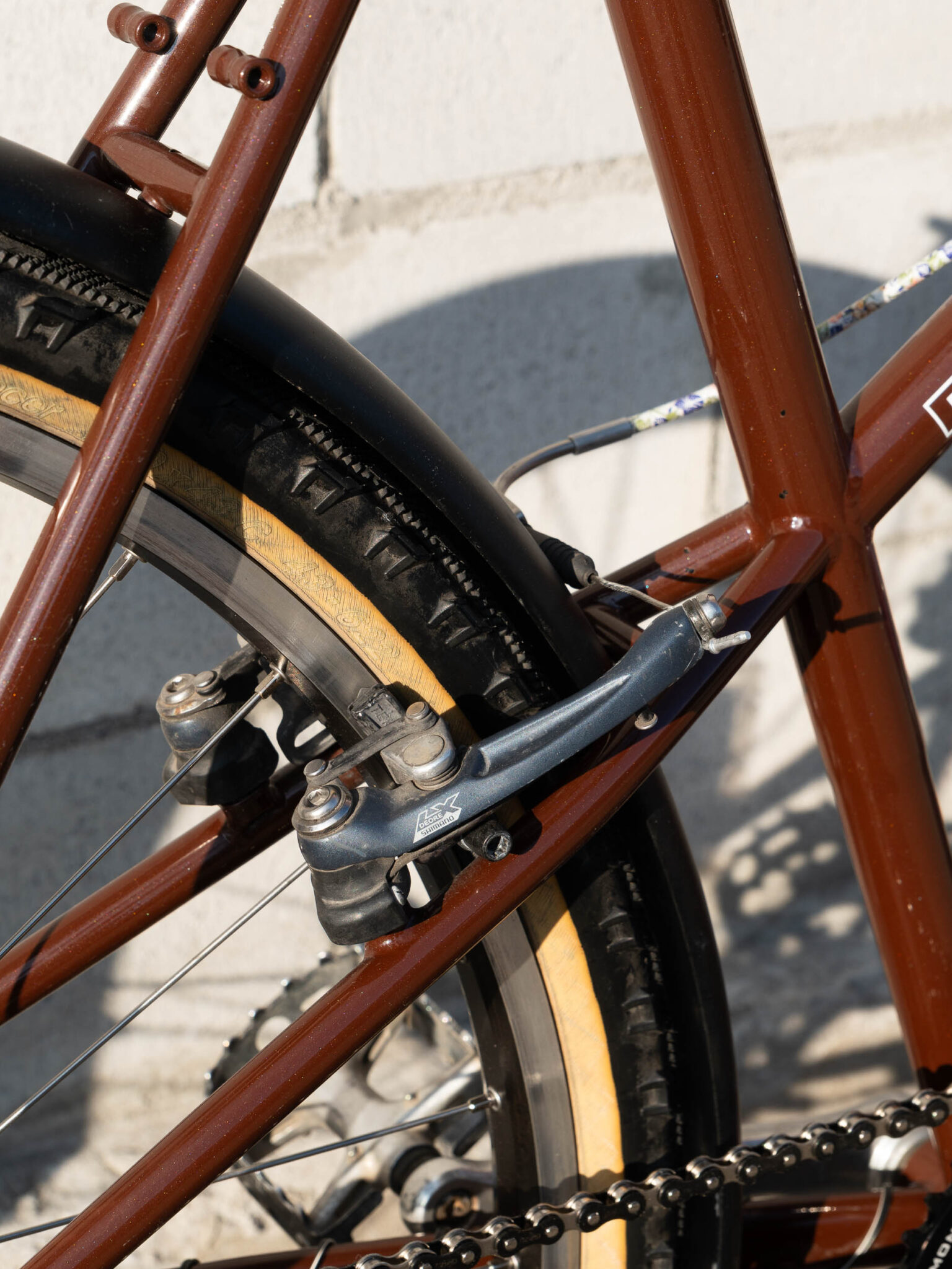 Reader's Rig: Julian's Bassi Rachel - BIKEPACKING.com