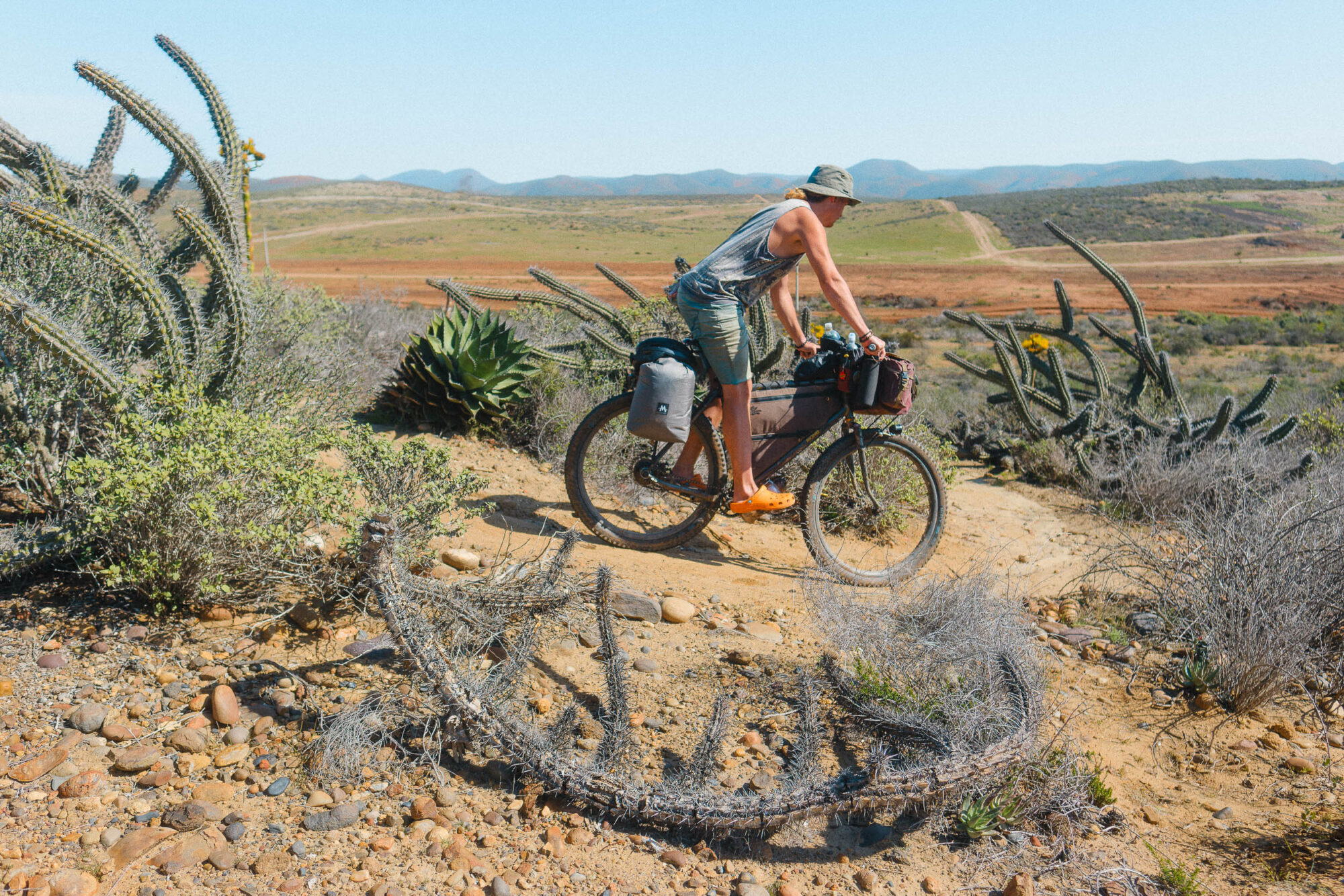 The Ebb and Flow of the Baja Divide - BIKEPACKING.com