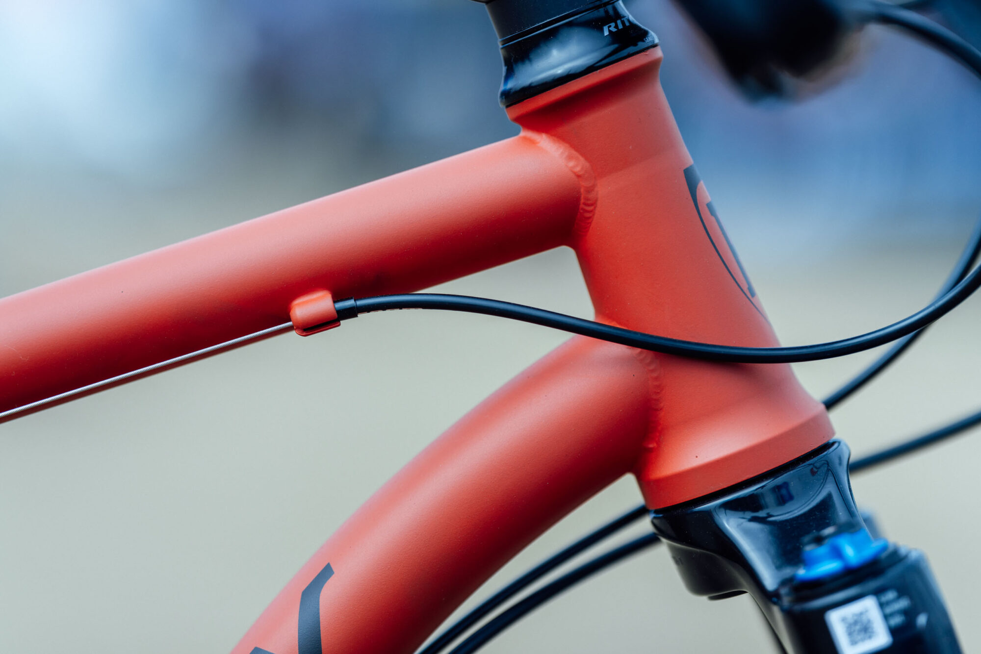 2024 Ritchey P-29er - BIKEPACKING.com