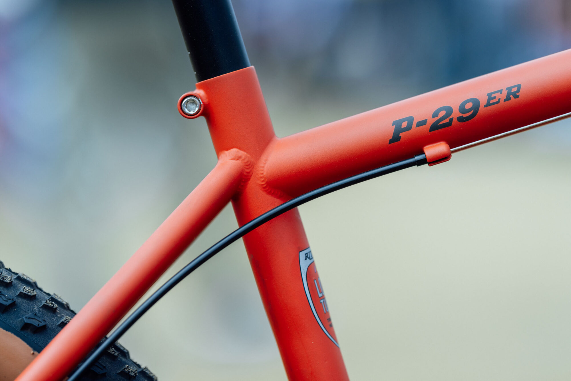 2024 Ritchey P-29er - BIKEPACKING.com