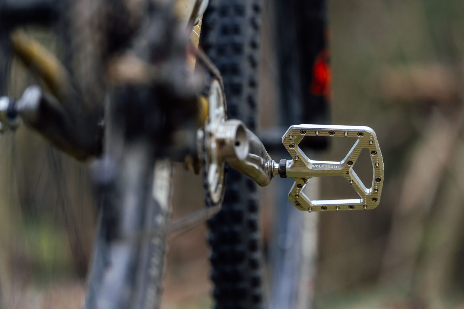 Wolf Tooth Ripsaw Review: Convex vs. Concave - BIKEPACKING.com