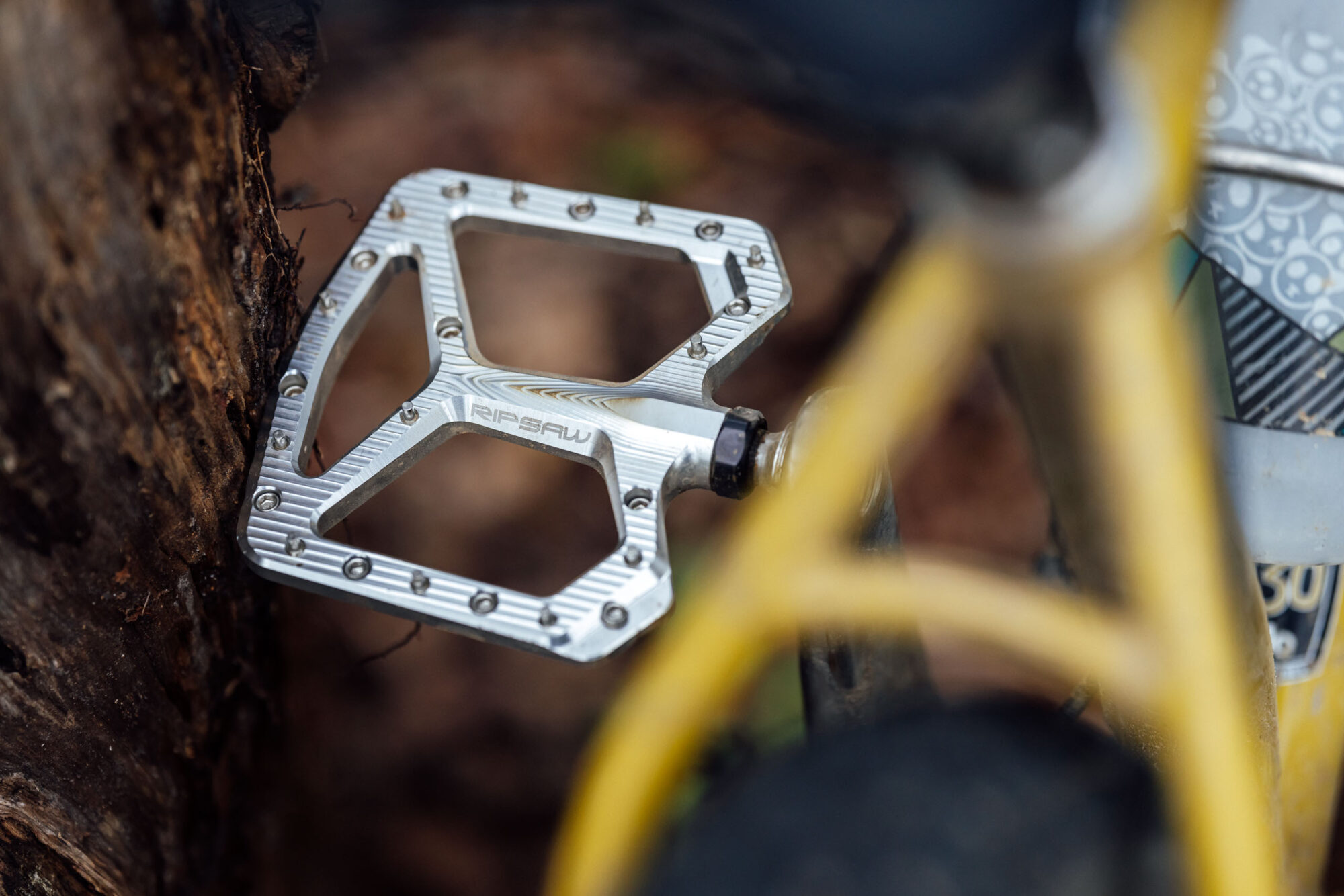 Wolf Tooth Ripsaw Review: Convex vs. Concave - BIKEPACKING.com