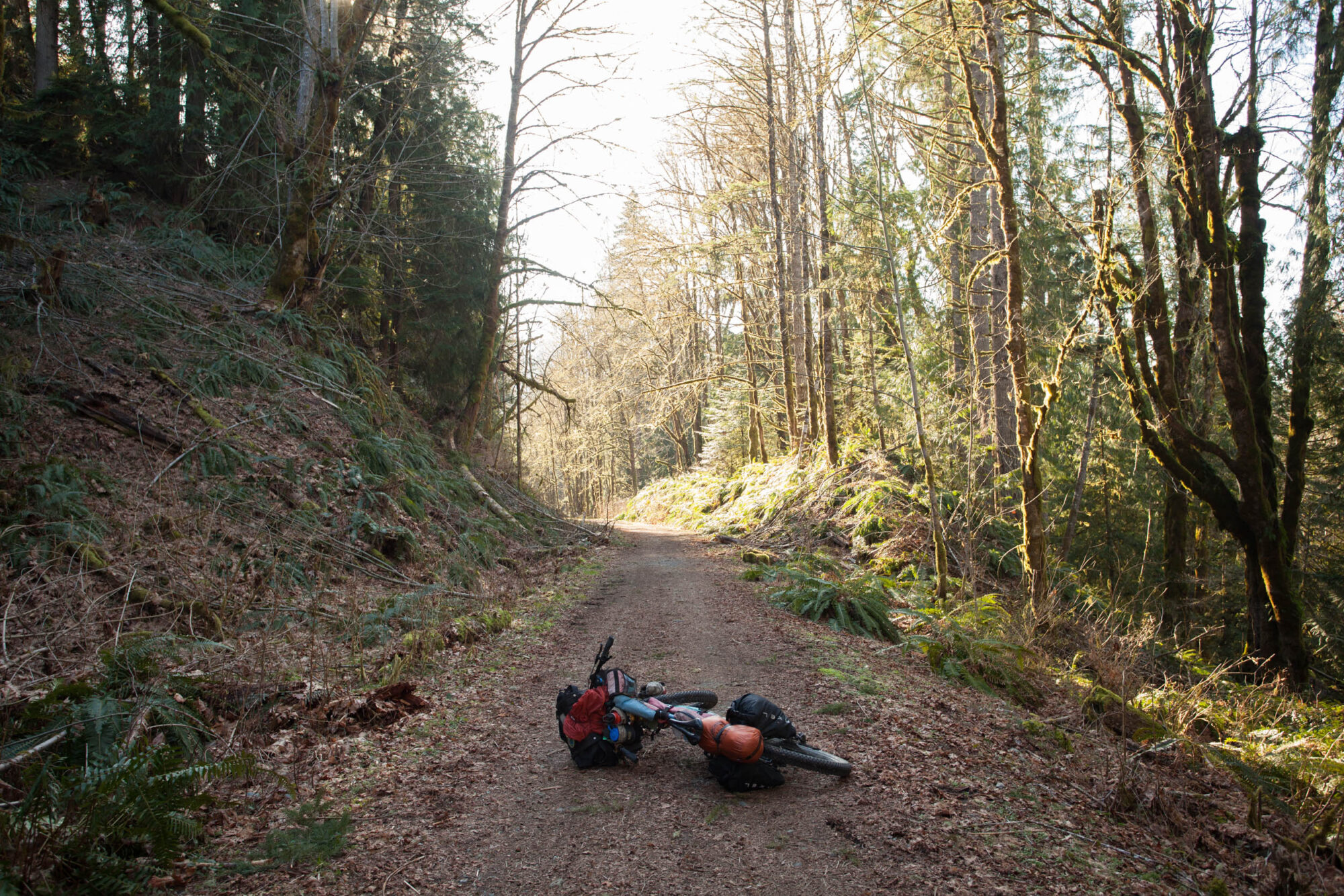 Cowichan 8 Bikepacking Loop (video) - BIKEPACKING.com