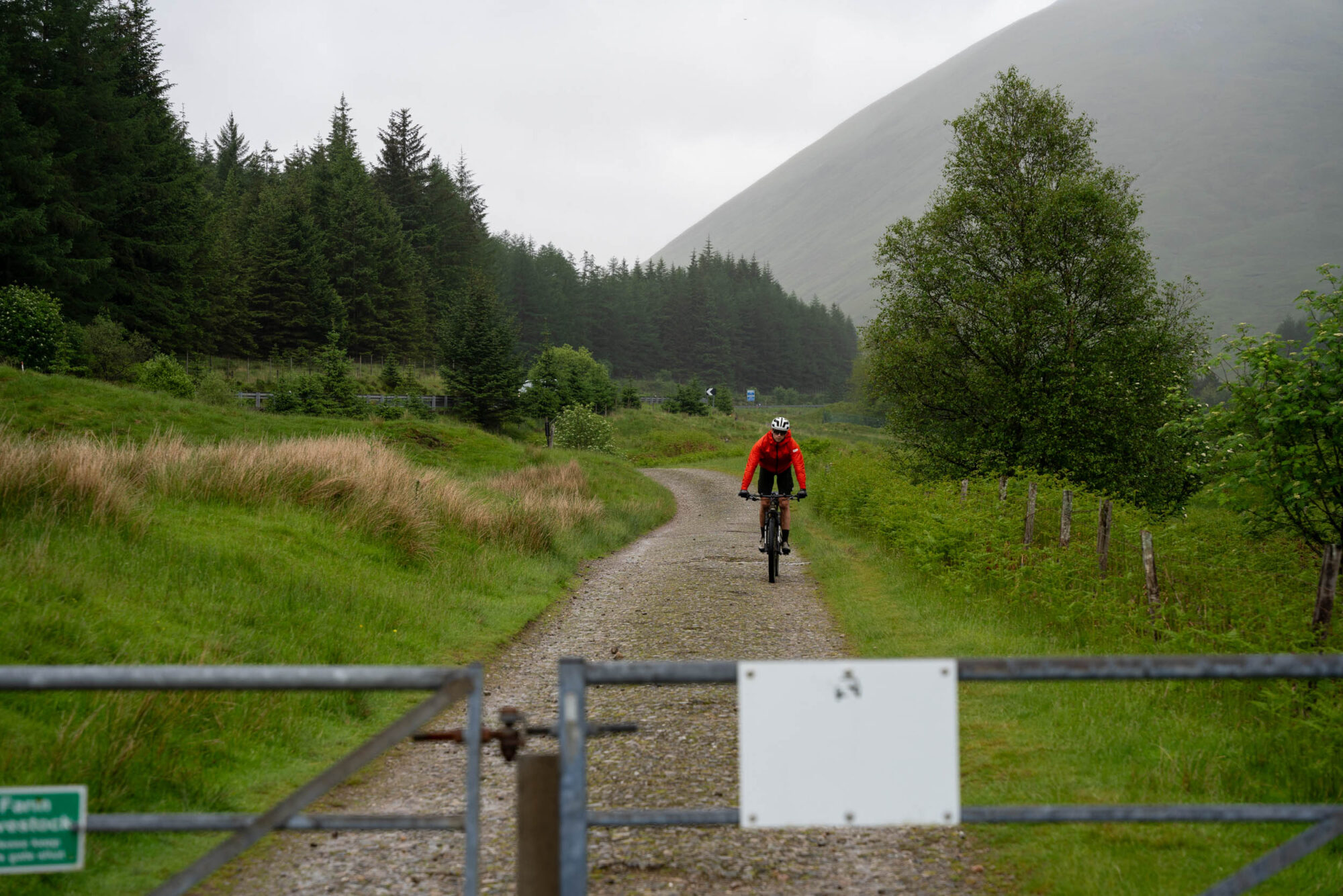 Alex McCormack Wins 2024 Highland Trail 550 - BIKEPACKING.com