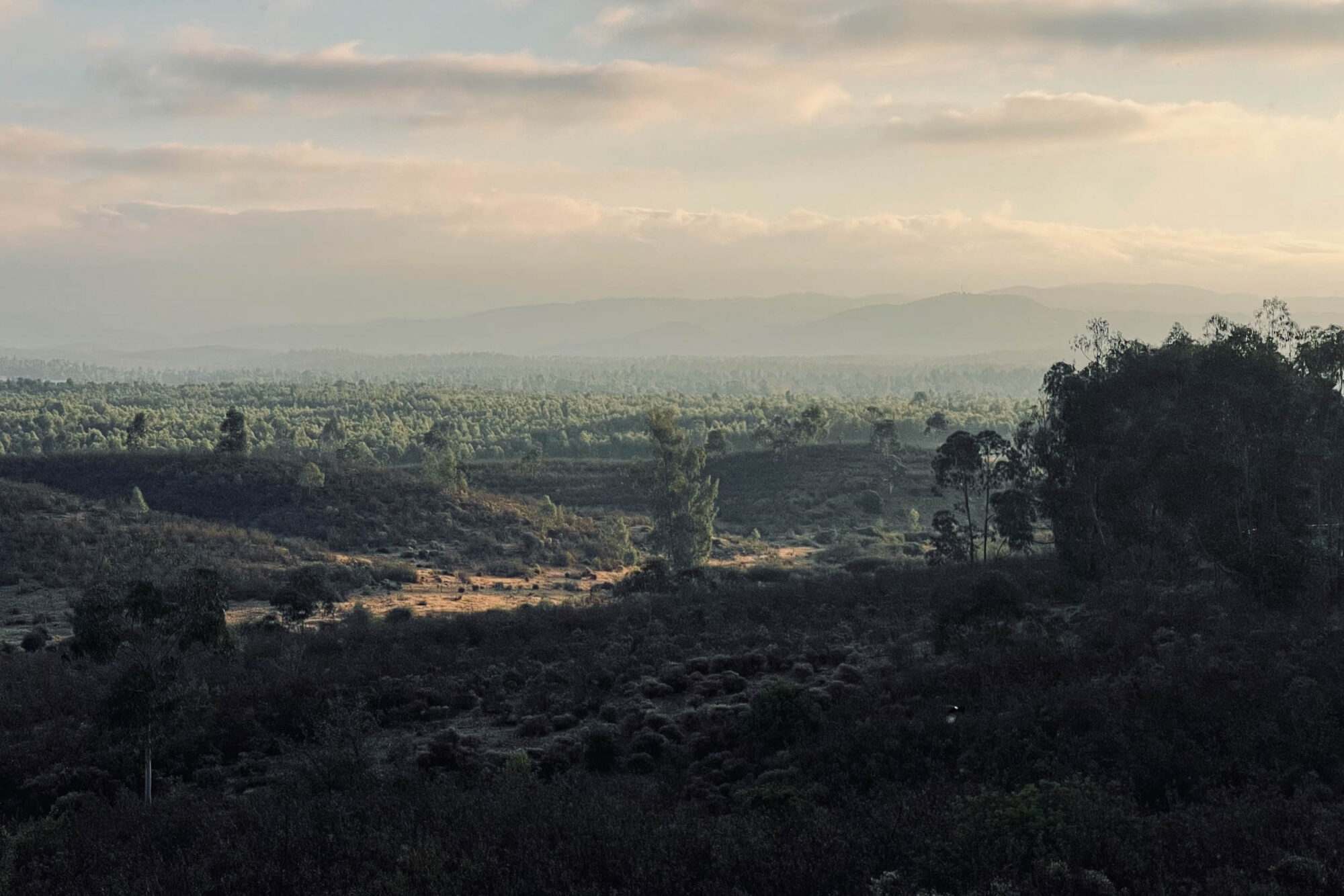 Seven Shots with Angus Young - BIKEPACKING.com