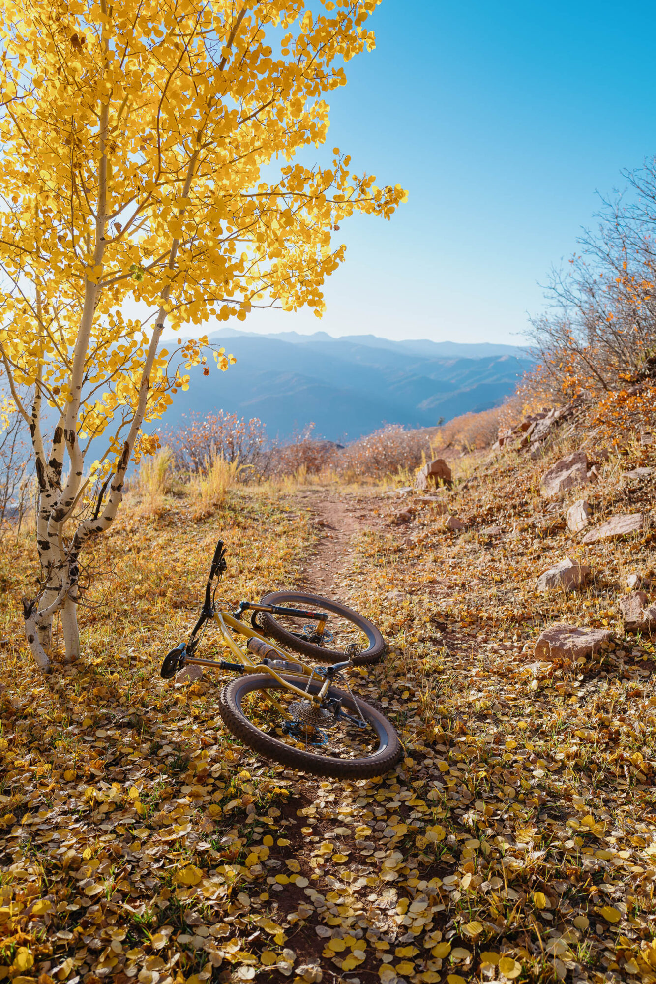 John Montesi's Custom Ti Sklar Hardtail - BIKEPACKING.com