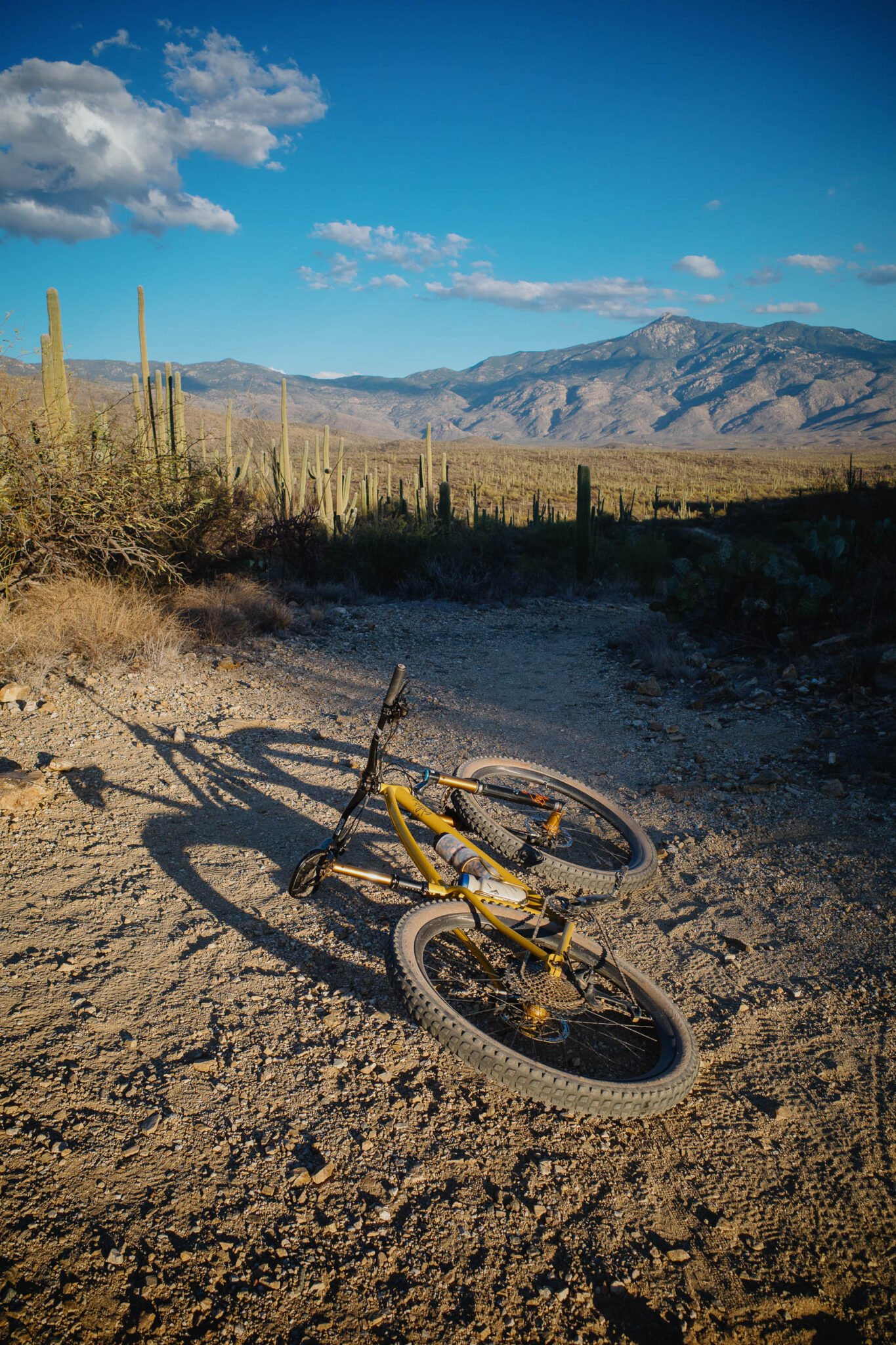 John Montesi's Custom Ti Sklar Hardtail - BIKEPACKING.com