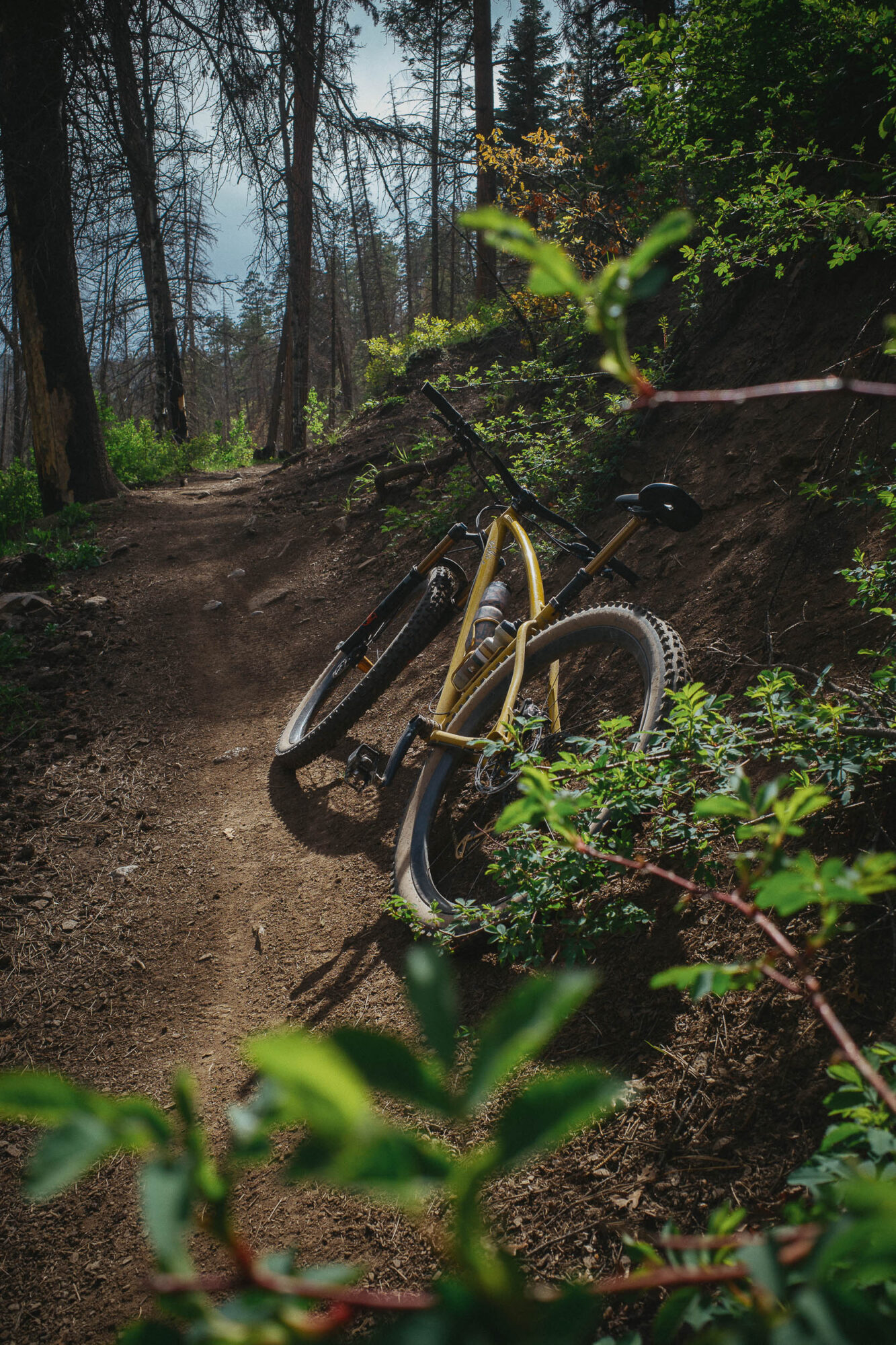 John Montesi's Custom Ti Sklar Hardtail - BIKEPACKING.com