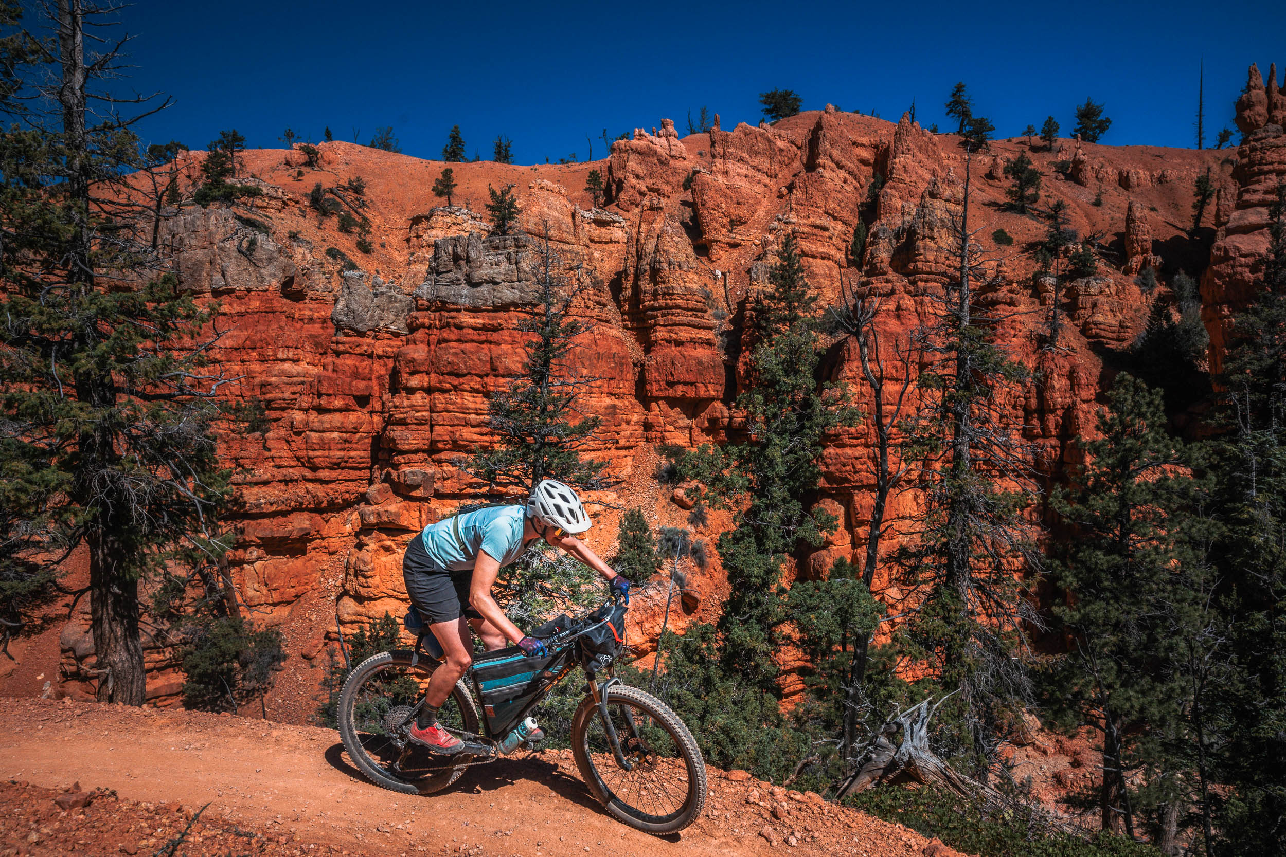 Reader's Rig: Ana's Custom Sycip Designs Hardtail - BIKEPACKING.com