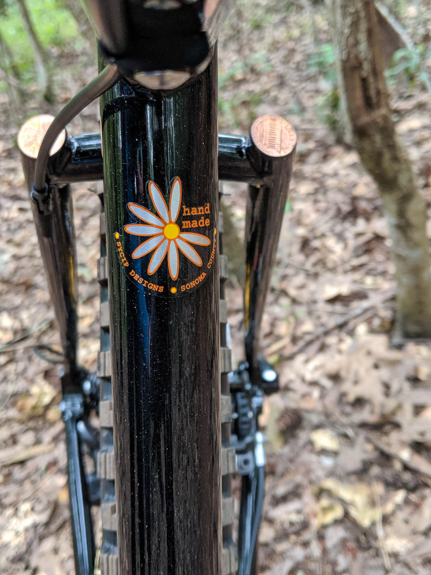 Reader's Rig: Ana's Custom Sycip Designs Hardtail - BIKEPACKING.com