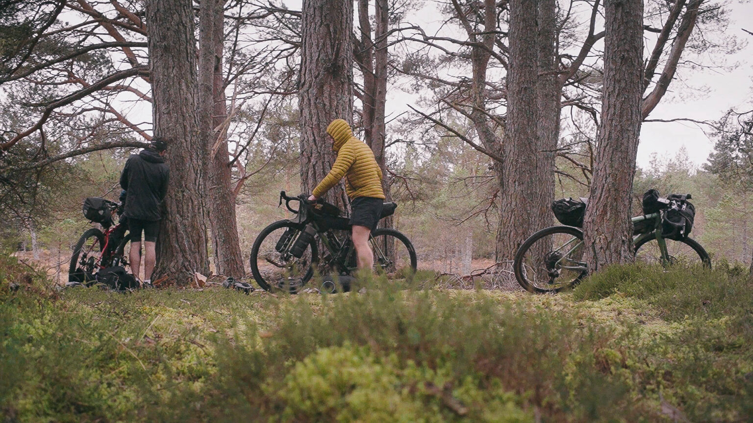 Slowest Known Time: Bikepacking the Badger Divide - BIKEPACKING.com