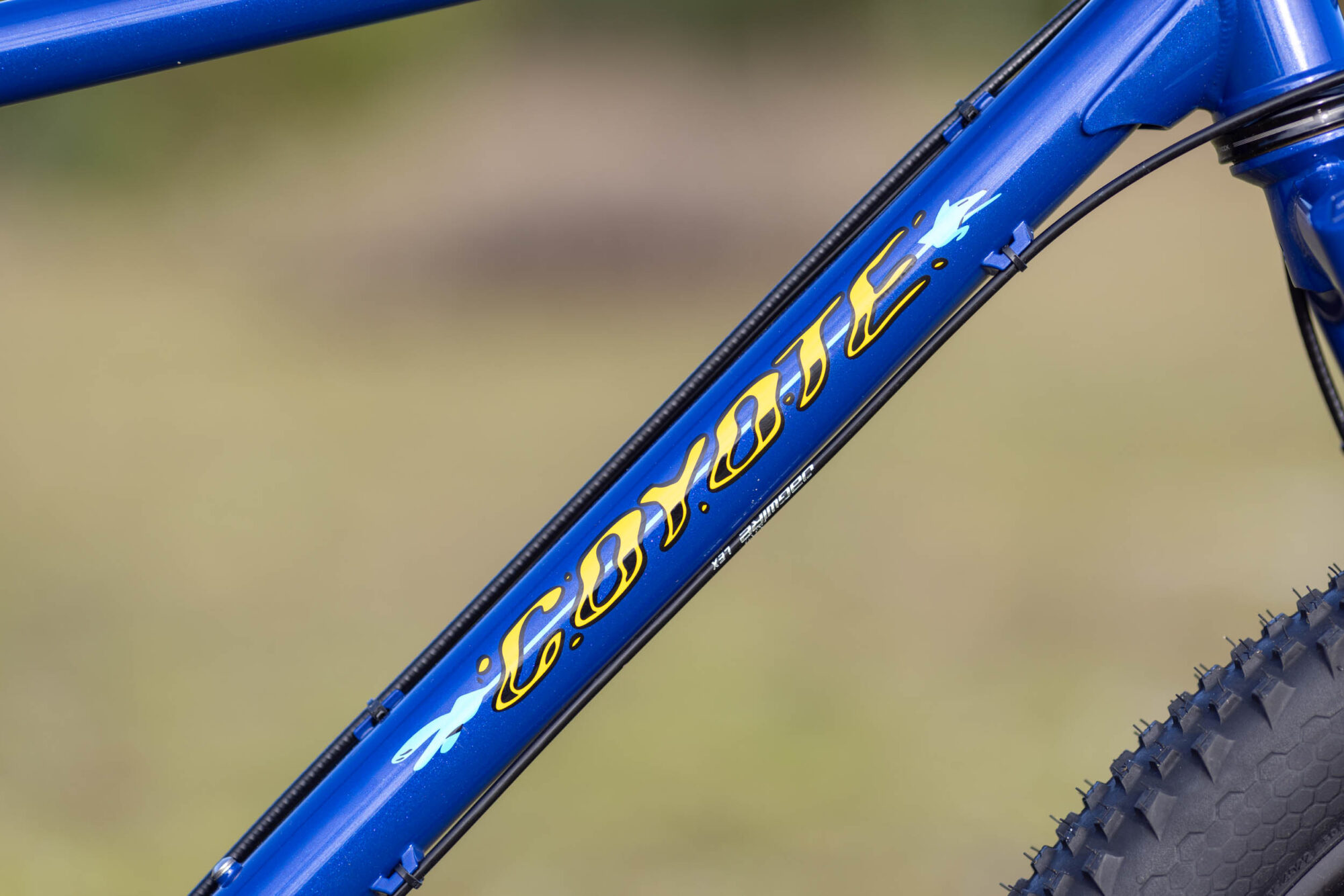 Bassi Coyote Review - BIKEPACKING.com
