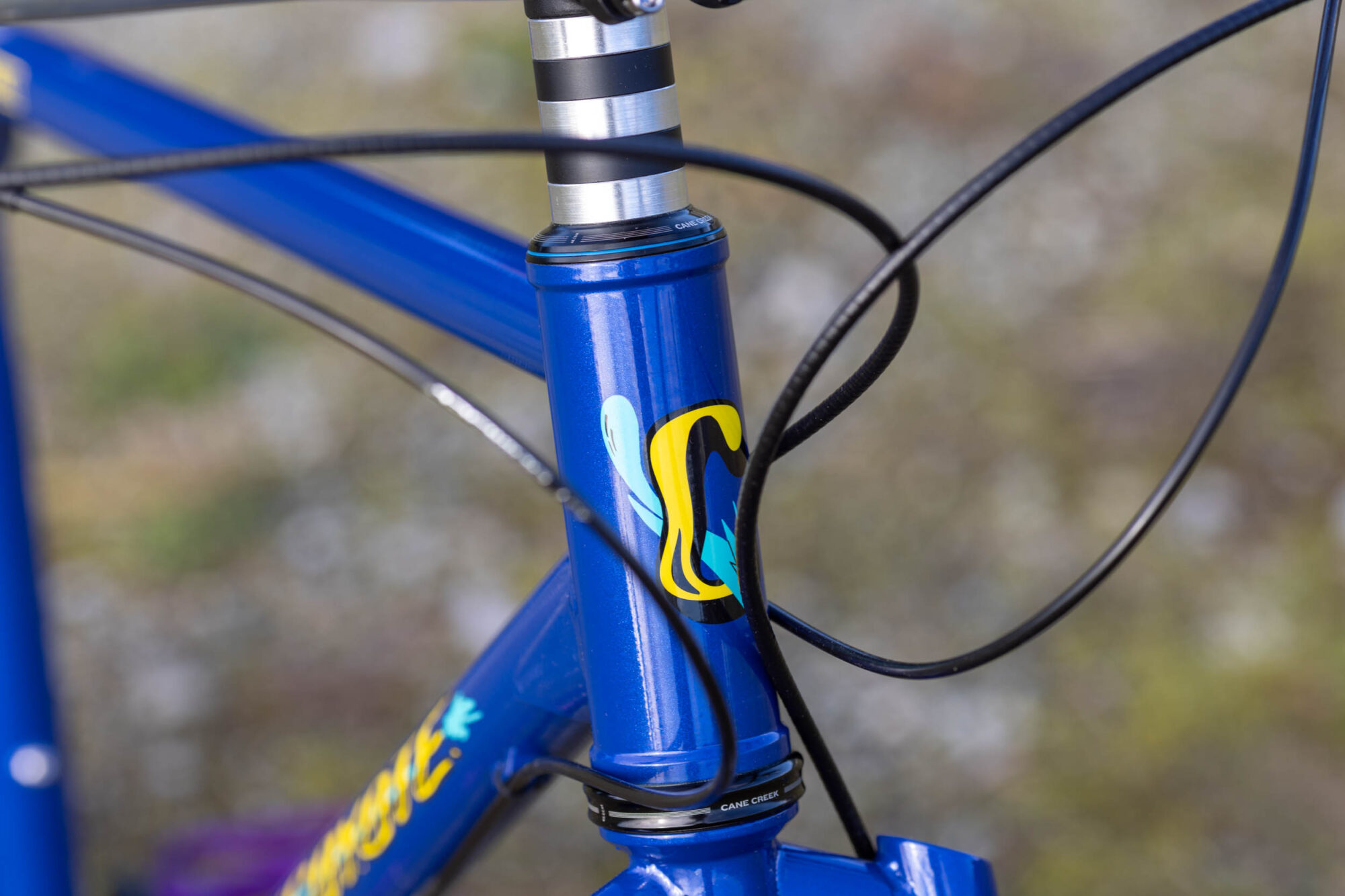 Bassi Coyote Review - BIKEPACKING.com