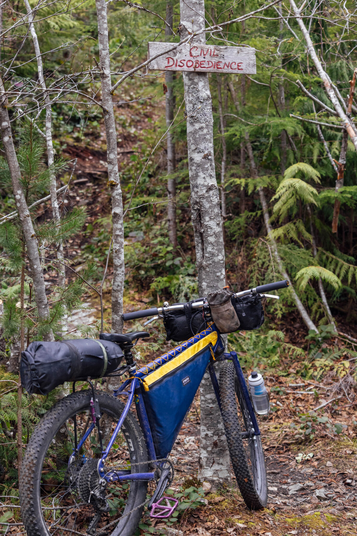 Bassi Coyote Review - BIKEPACKING.com