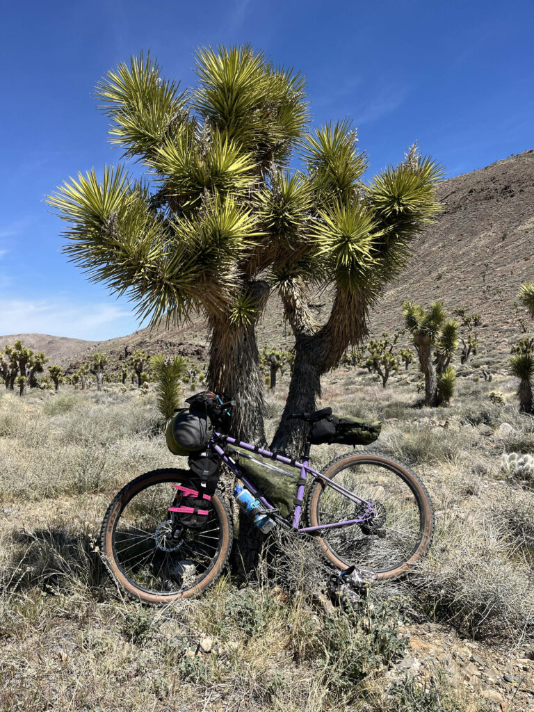Death Valley Dustup - BIKEPACKING.com