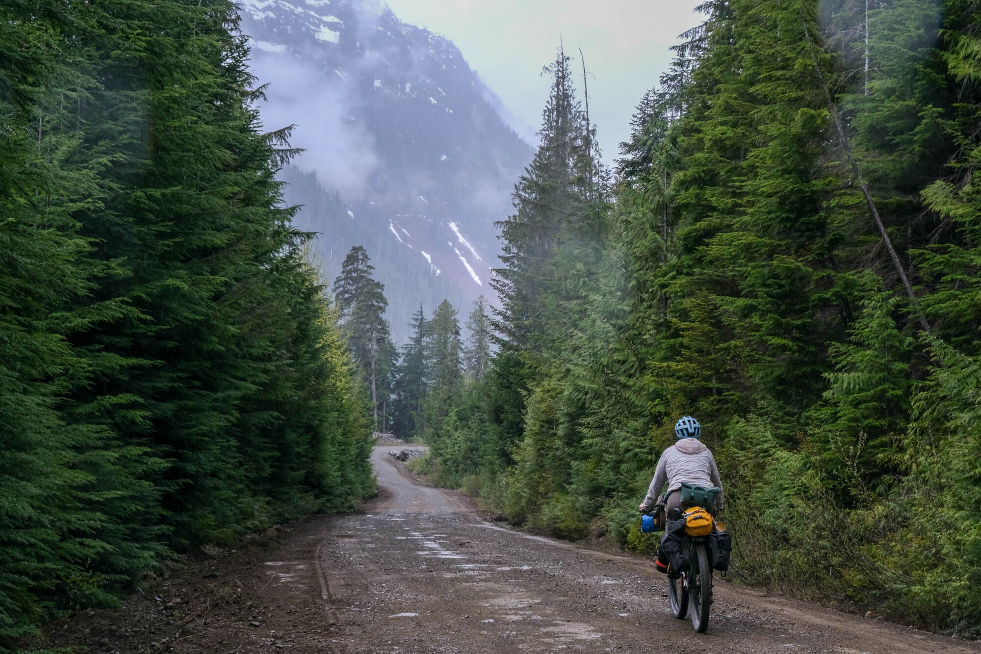 For a Friend: Reflections from the Tree to Sea Loop - BIKEPACKING.com