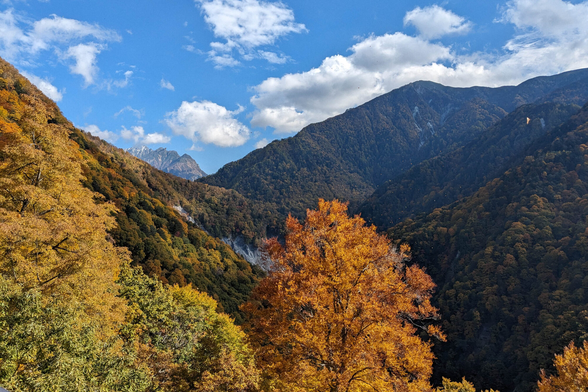 Whee: A Bikepacking Journey Through the Japanese Alps - BIKEPACKING.com
