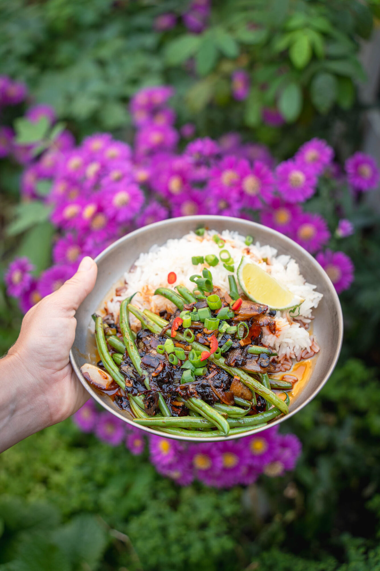 Introducing The Bikepacking Cookbook + Free Recipe - BIKEPACKING.com