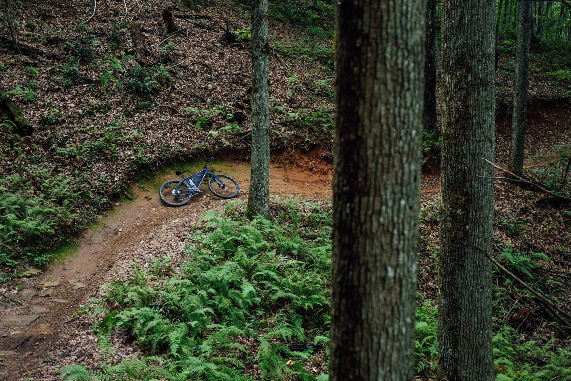 Esker Lorax Review: Unless... - BIKEPACKING.com