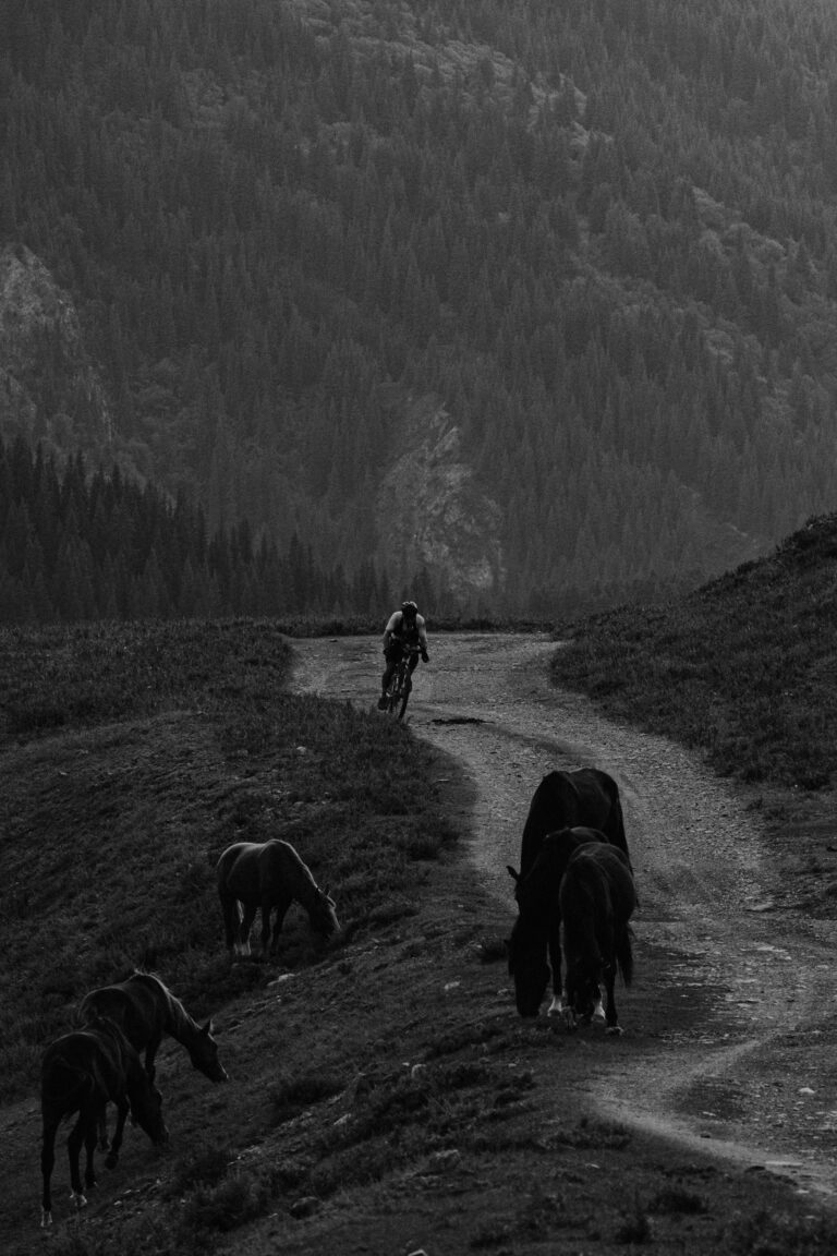 Joe Nation Wins 2024 Silk Road Mountain Race - BIKEPACKING.com