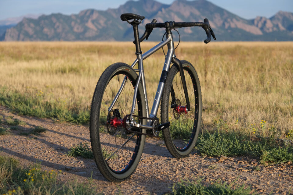 Corvid Curiosity - BIKEPACKING.com