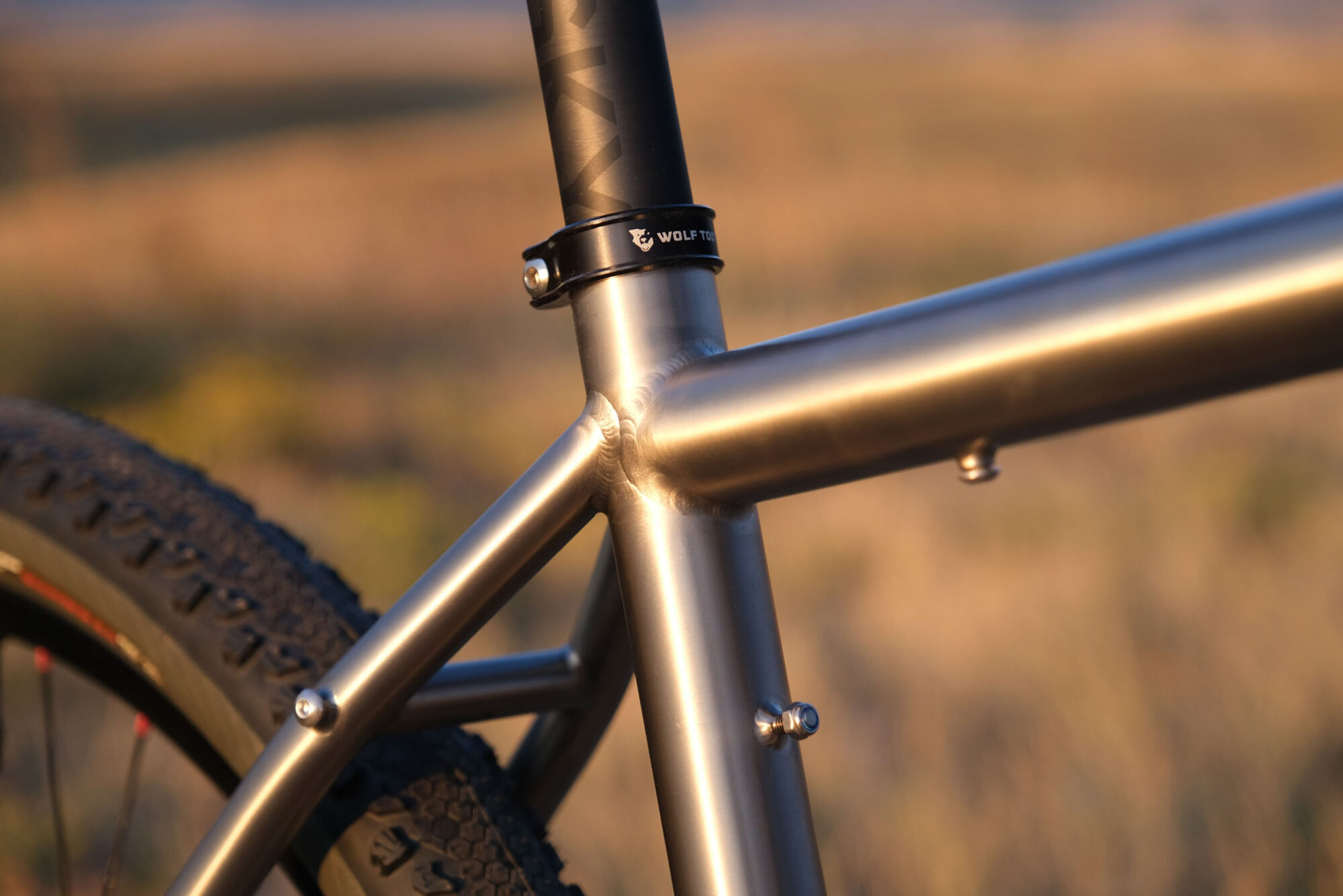 Corvid Curiosity - BIKEPACKING.com
