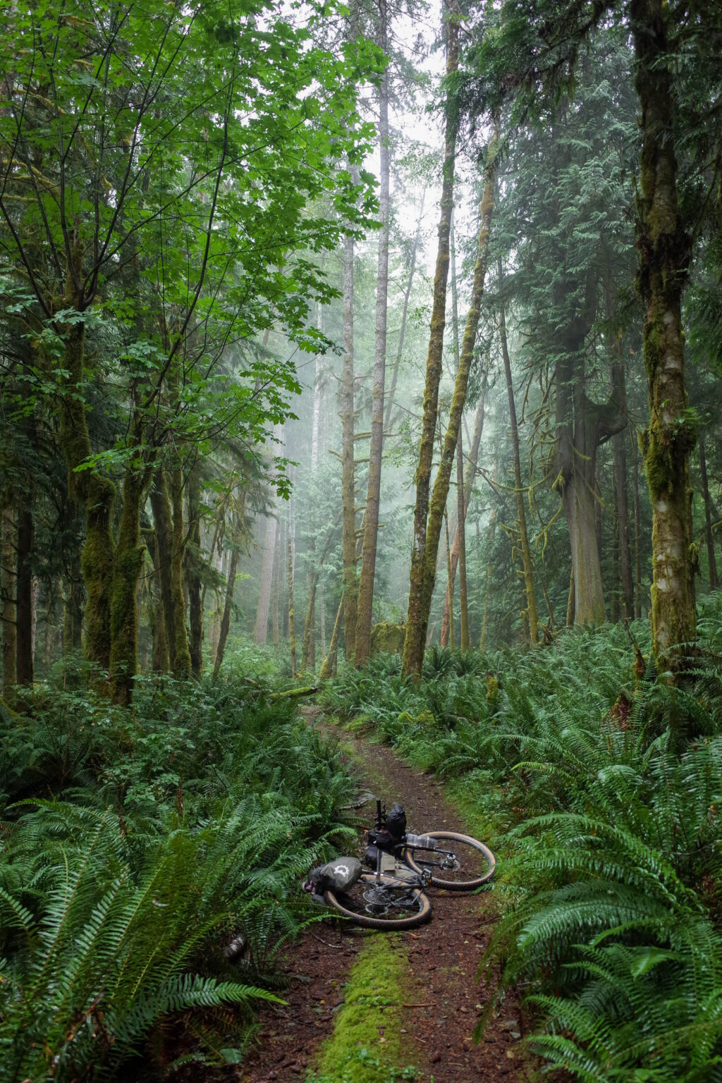 Reader's Rig: Kia's Salsa Cutthroat - BIKEPACKING.com