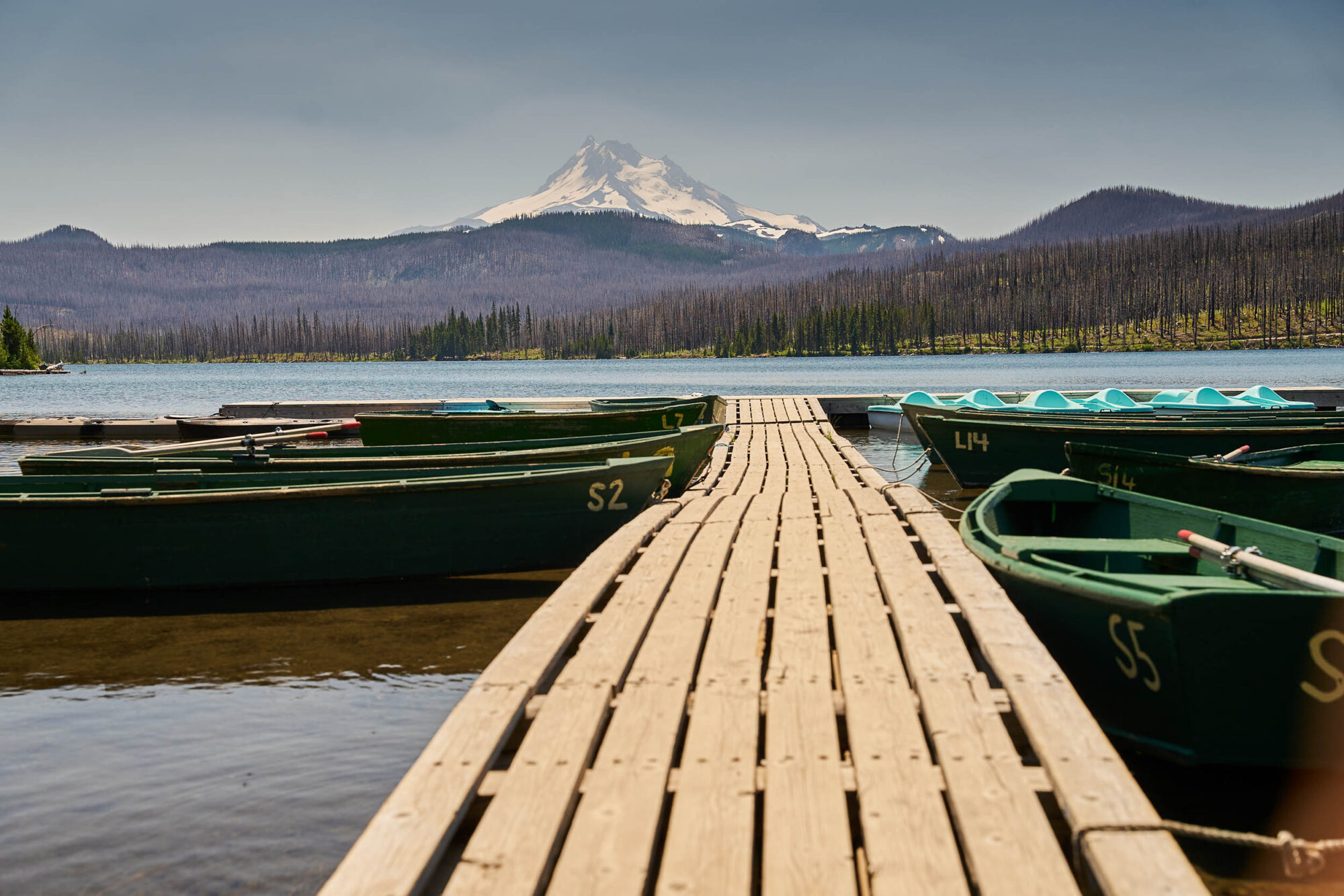 Bikepacking the Oregon Timber Trail (Video) - BIKEPACKING.com