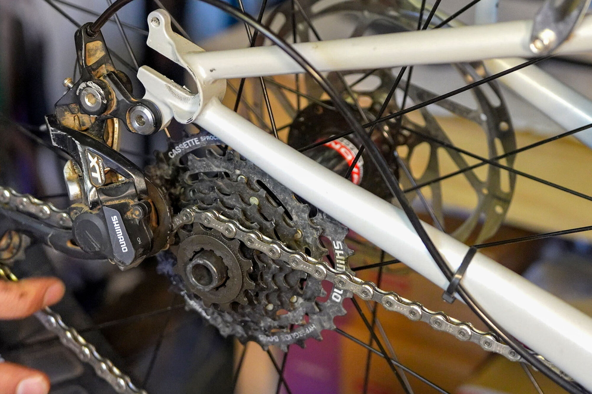 Pinion and Derailleur Drivetrain - BIKEPACKING.com