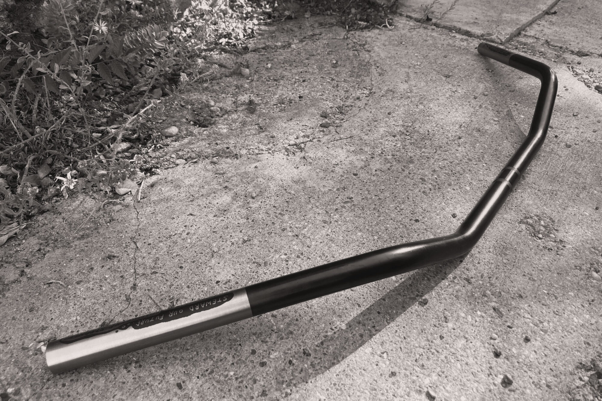 “Celebrate the Strange” Doom x Reanimator Bar - BIKEPACKING.com