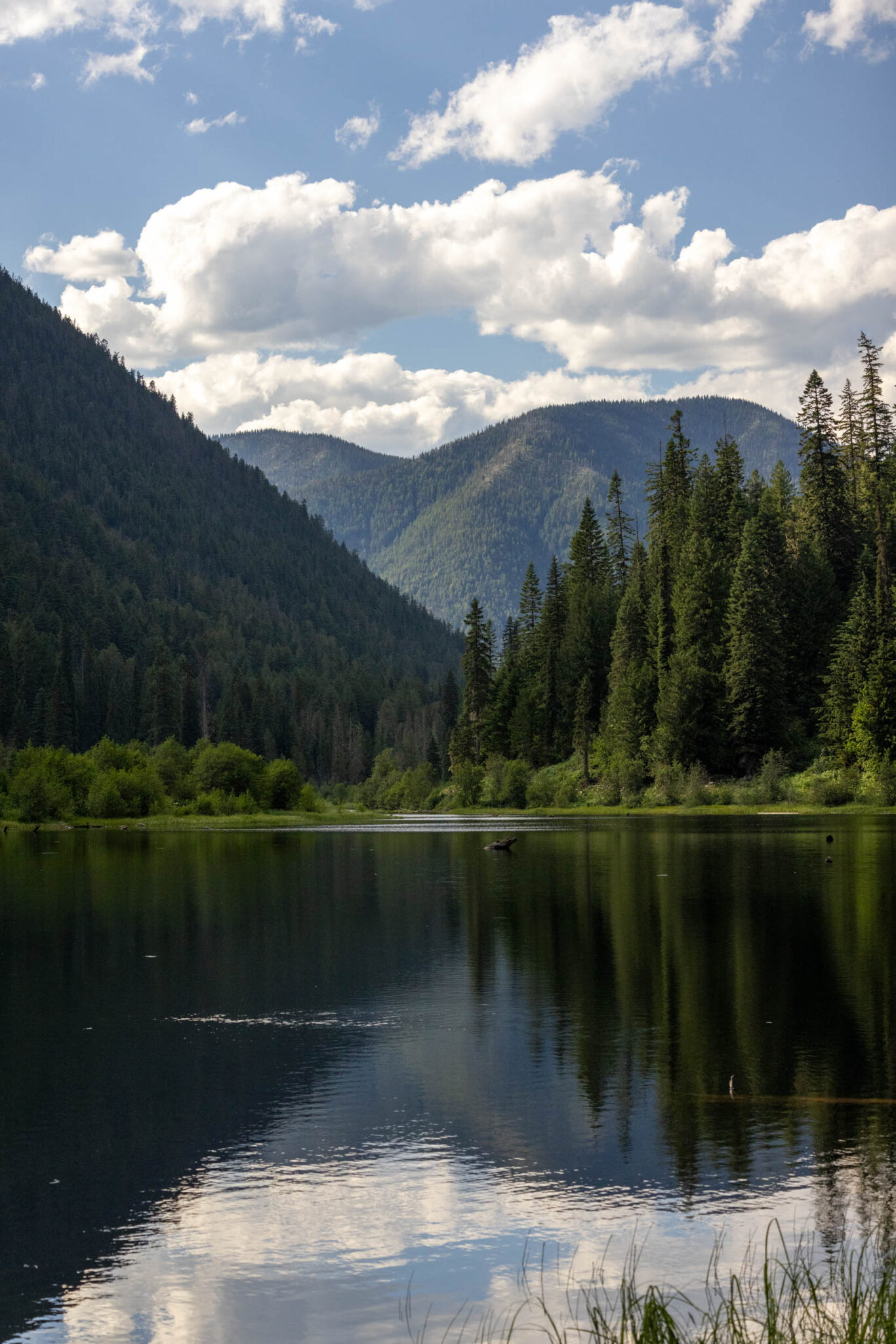 Frog Peak Loop - BIKEPACKING.com