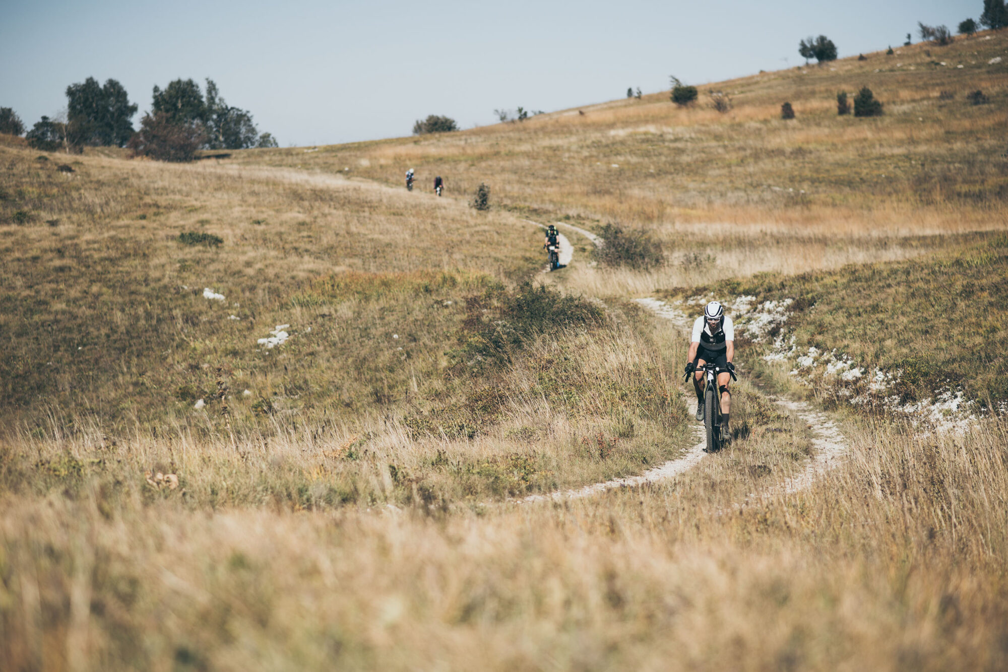 Three Days at Istra Land 2024 - BIKEPACKING.com