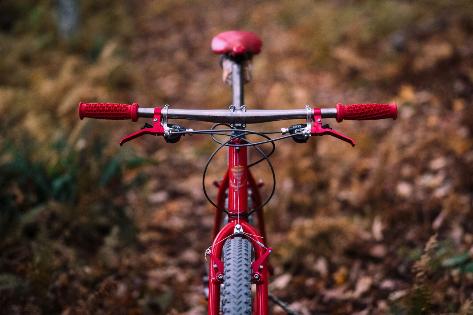 Ron's Bikes R-Werks EVOO - BIKEPACKING.com