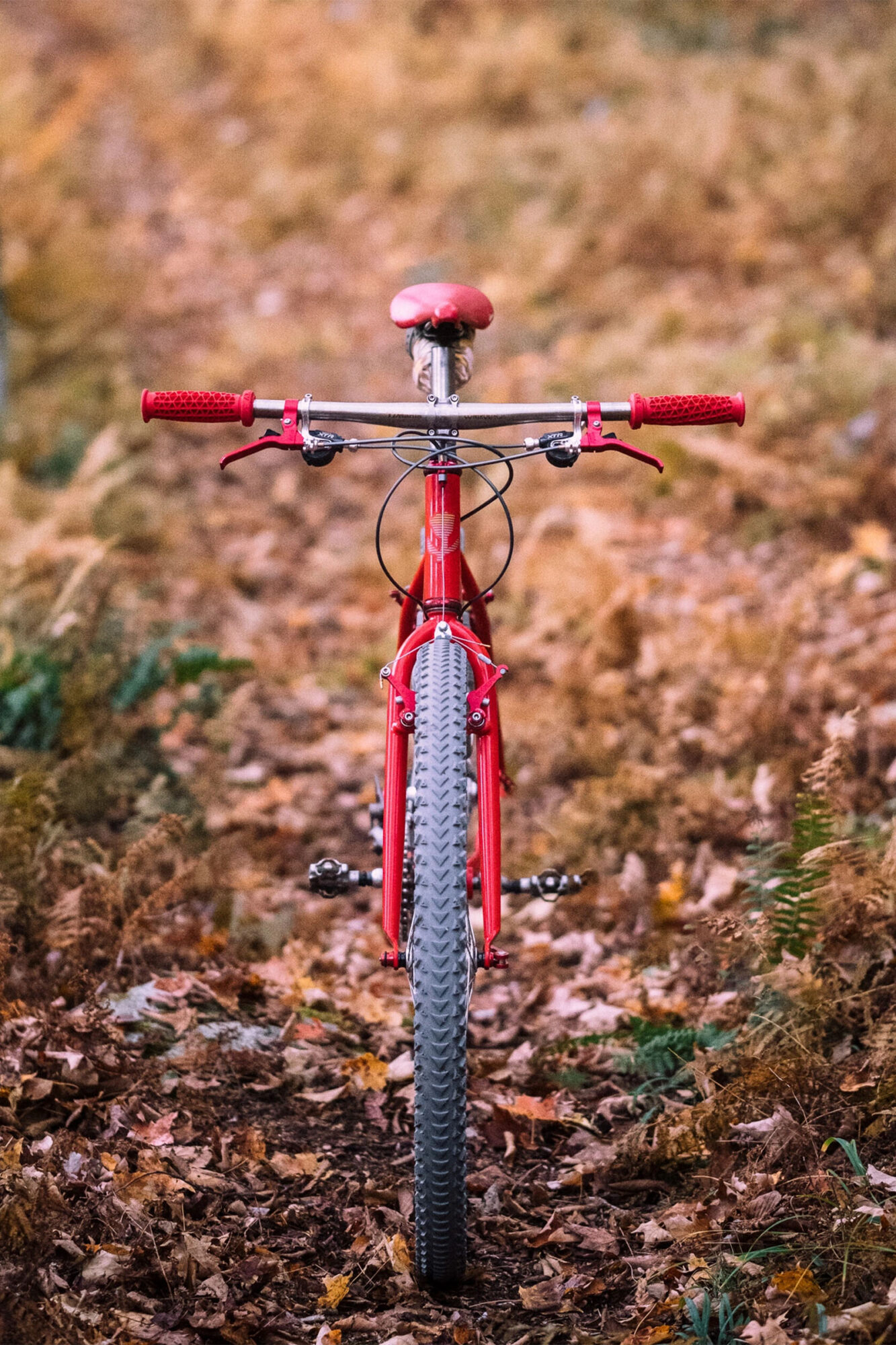 Ron's Bikes R-Werks EVOO - BIKEPACKING.com