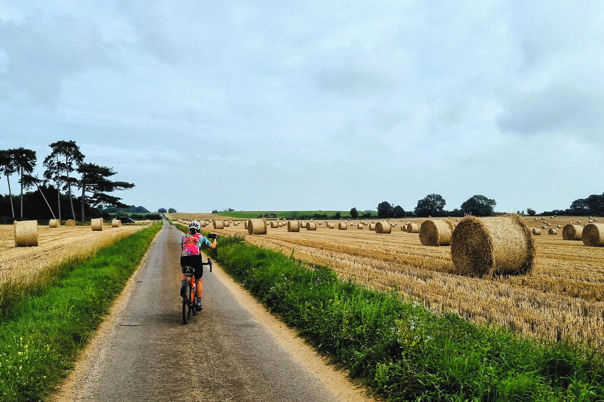 Wolf Way - BIKEPACKING.com