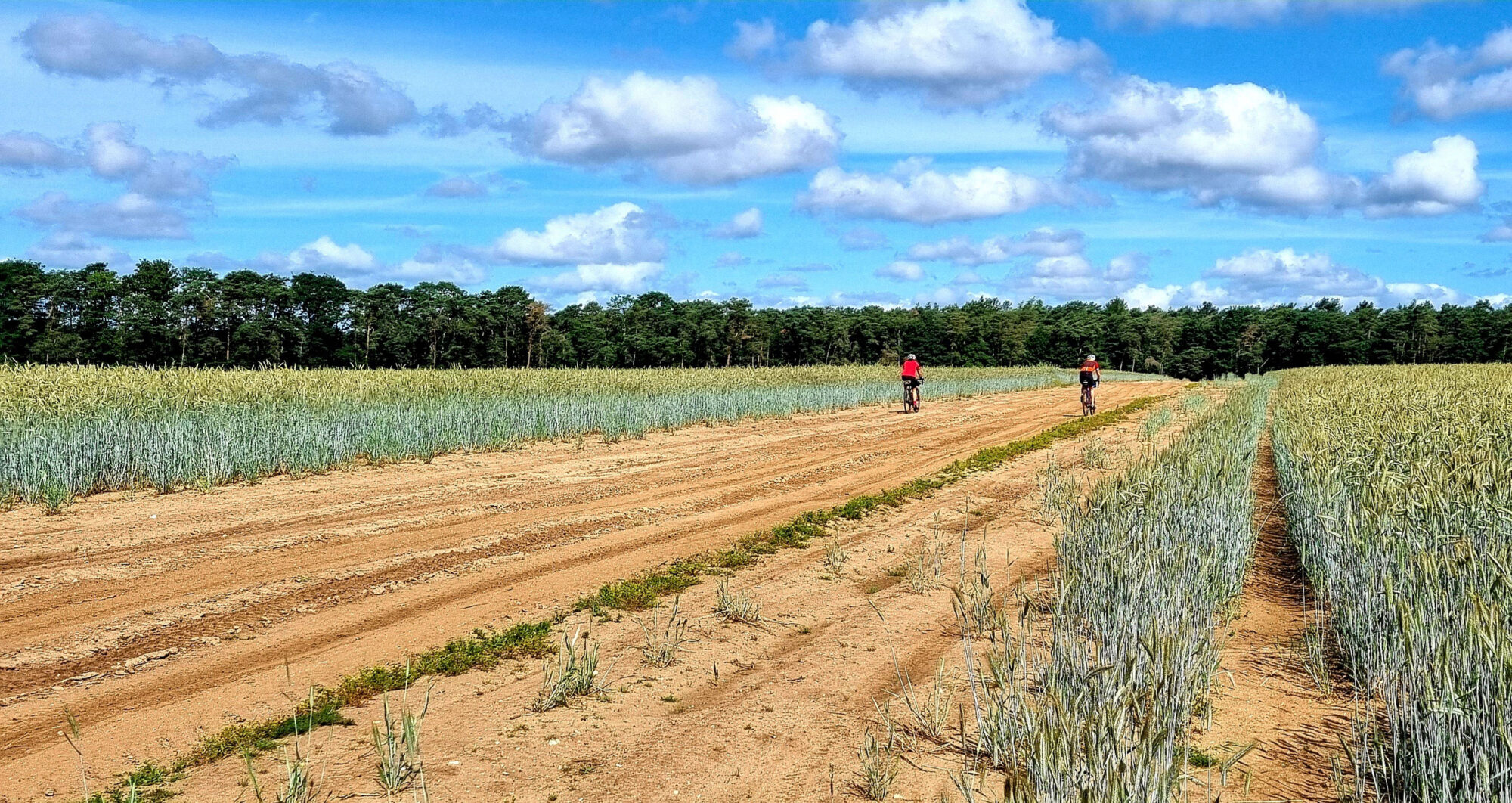 Wolf Way - BIKEPACKING.com