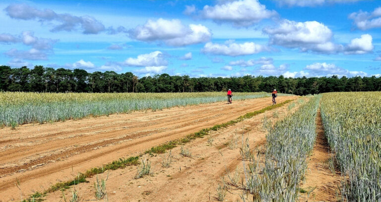 Wolf Way - BIKEPACKING.com
