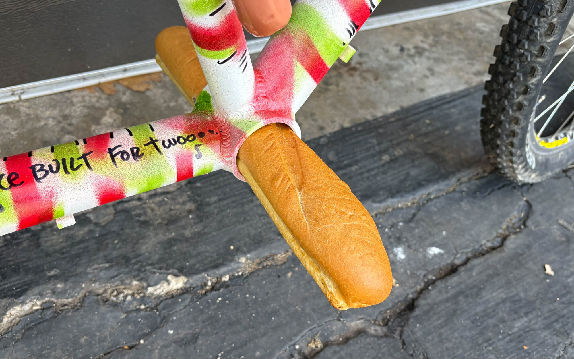 Reader's Rig: Bicycle Pubes' Tandem for One - BIKEPACKING.com